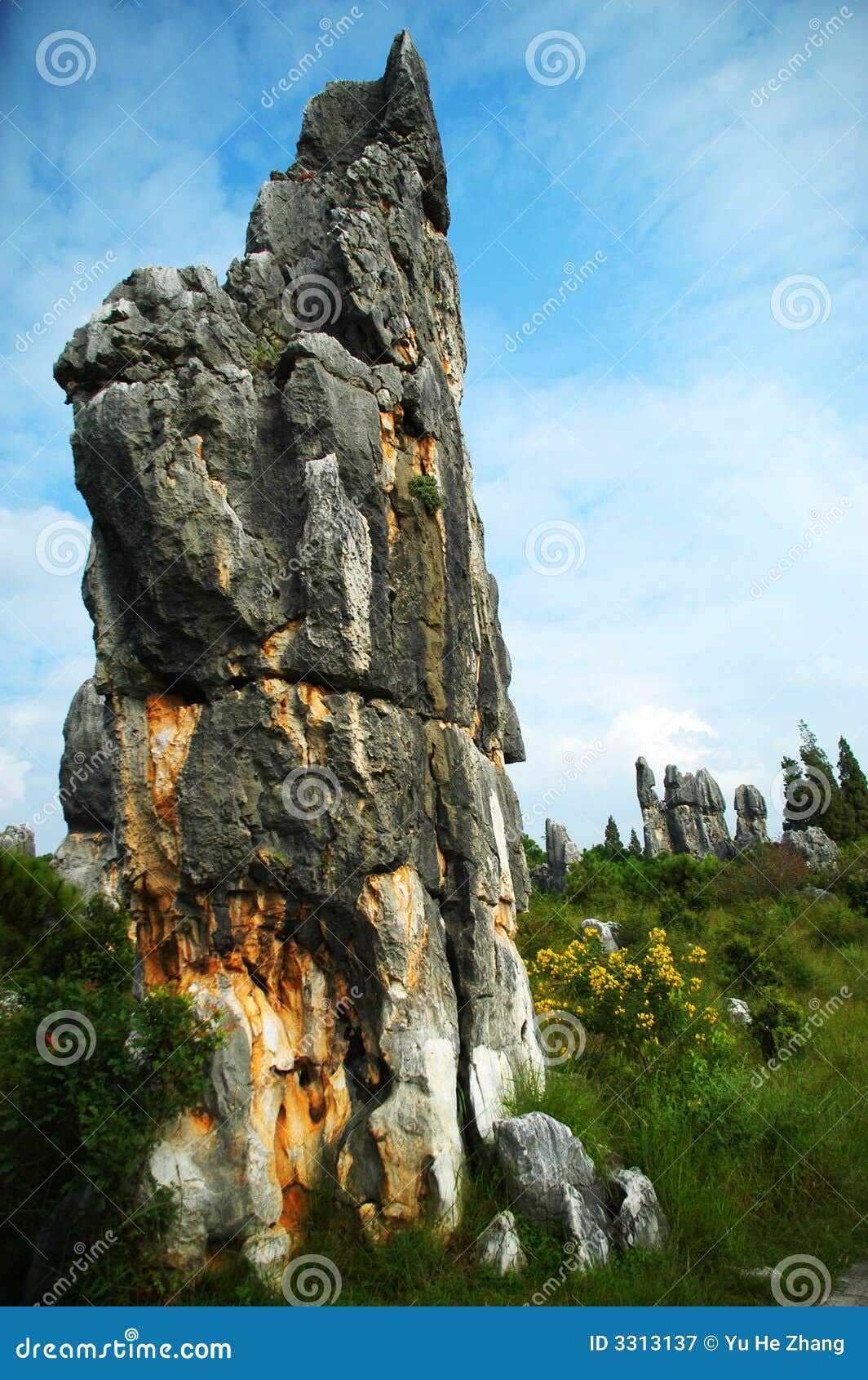 Stone Forest China stock image. Image of stone, geologic - 3313137