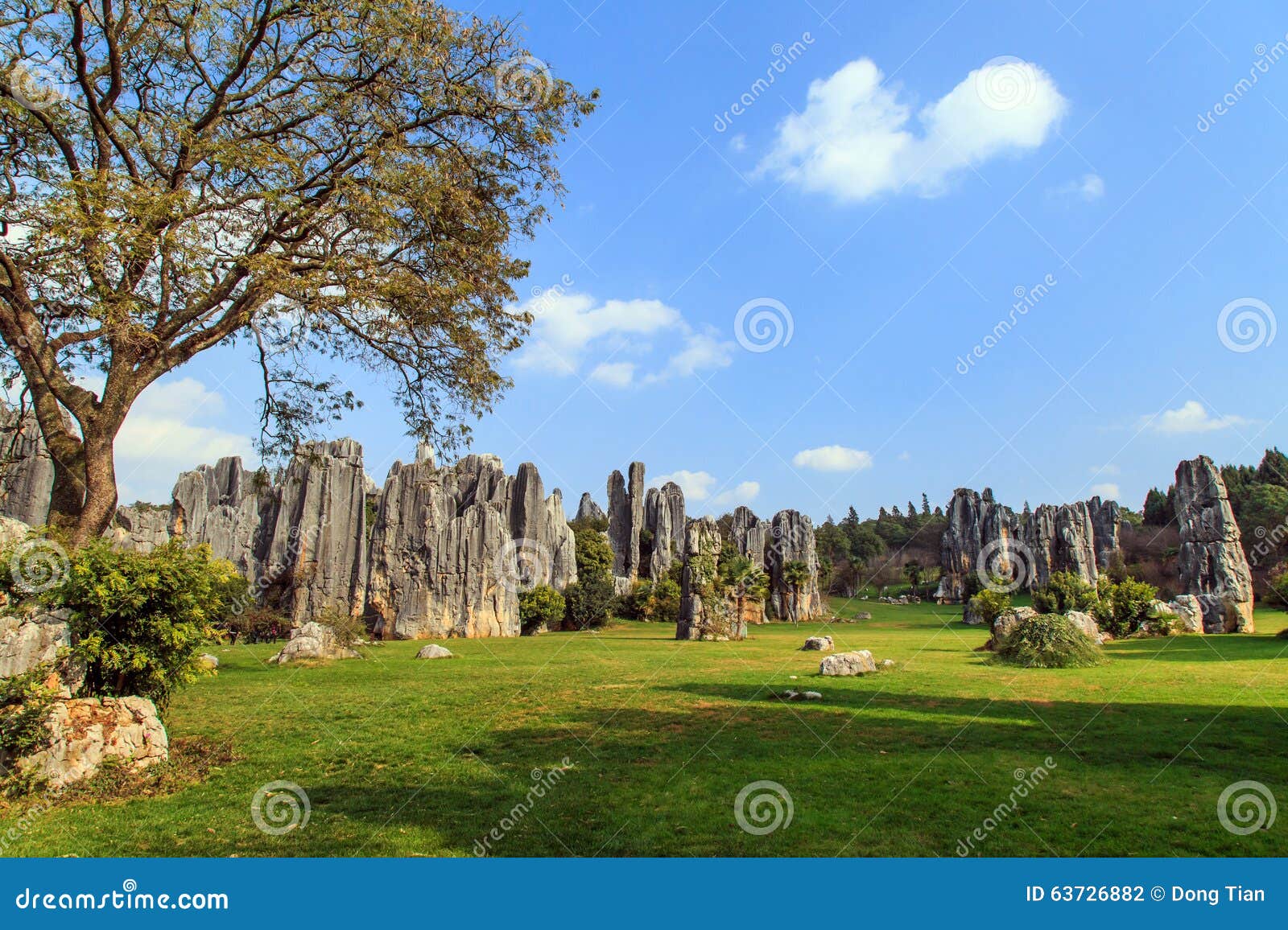 The Stone Forest Geology Park Scenery Stock Photo - Image of tourist ...