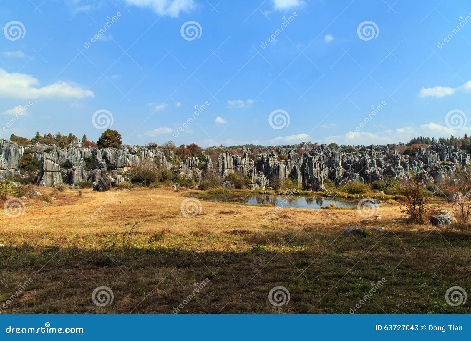The Stone Forest Geology Park Scenery Stock Image - Image of asia ...