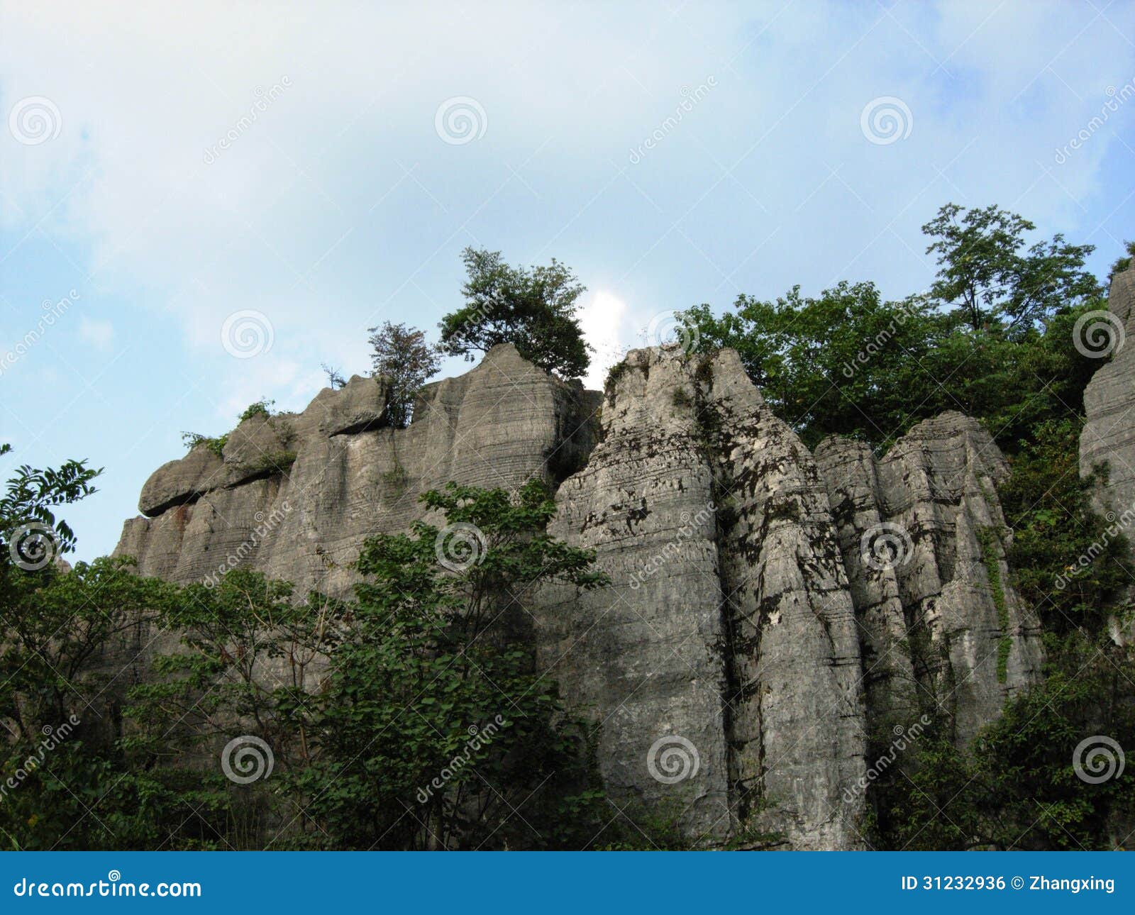 The stone forest stock photo. Image of powerful, amazing - 31232936