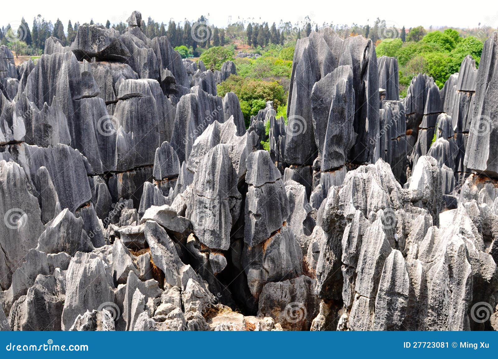 Stone Forest, Yunnan, China Stock Image - Image of china, millions ...