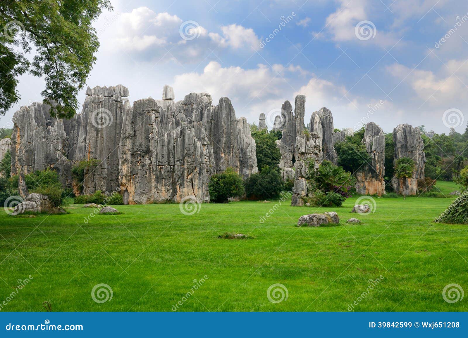 Stone Forest, Yunnan, China Stock Image - Image of chinese, china: 39842599