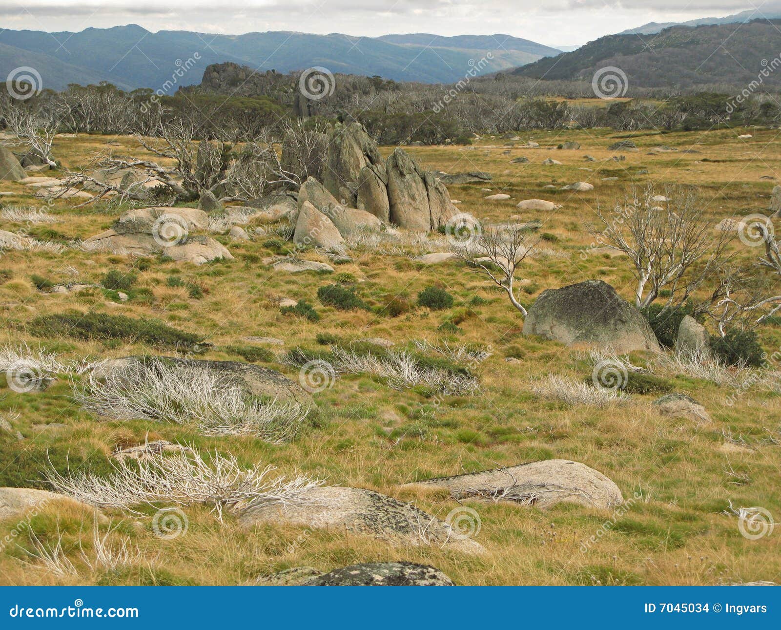 Stone Formations in Alpine Meadow Stock Photo - Image of mountains ...