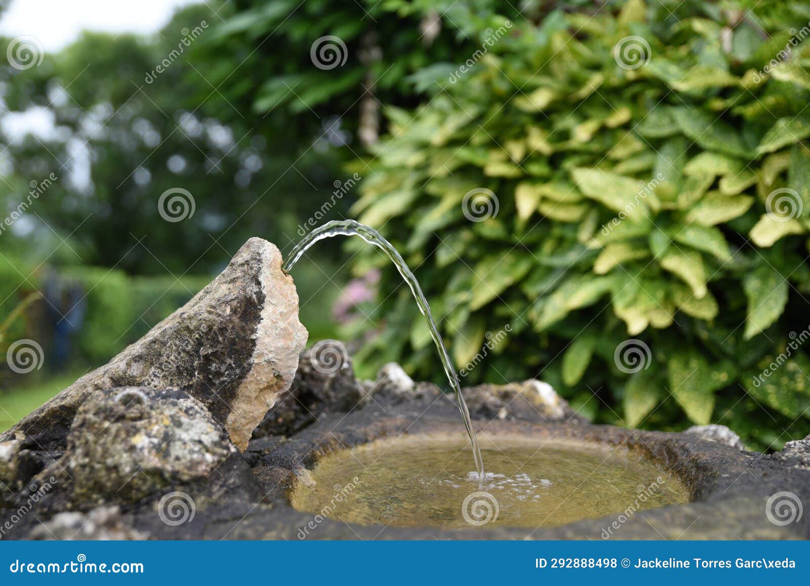 Stone Fountain with a Toad and a Small Stream of Water Stock Photo ...