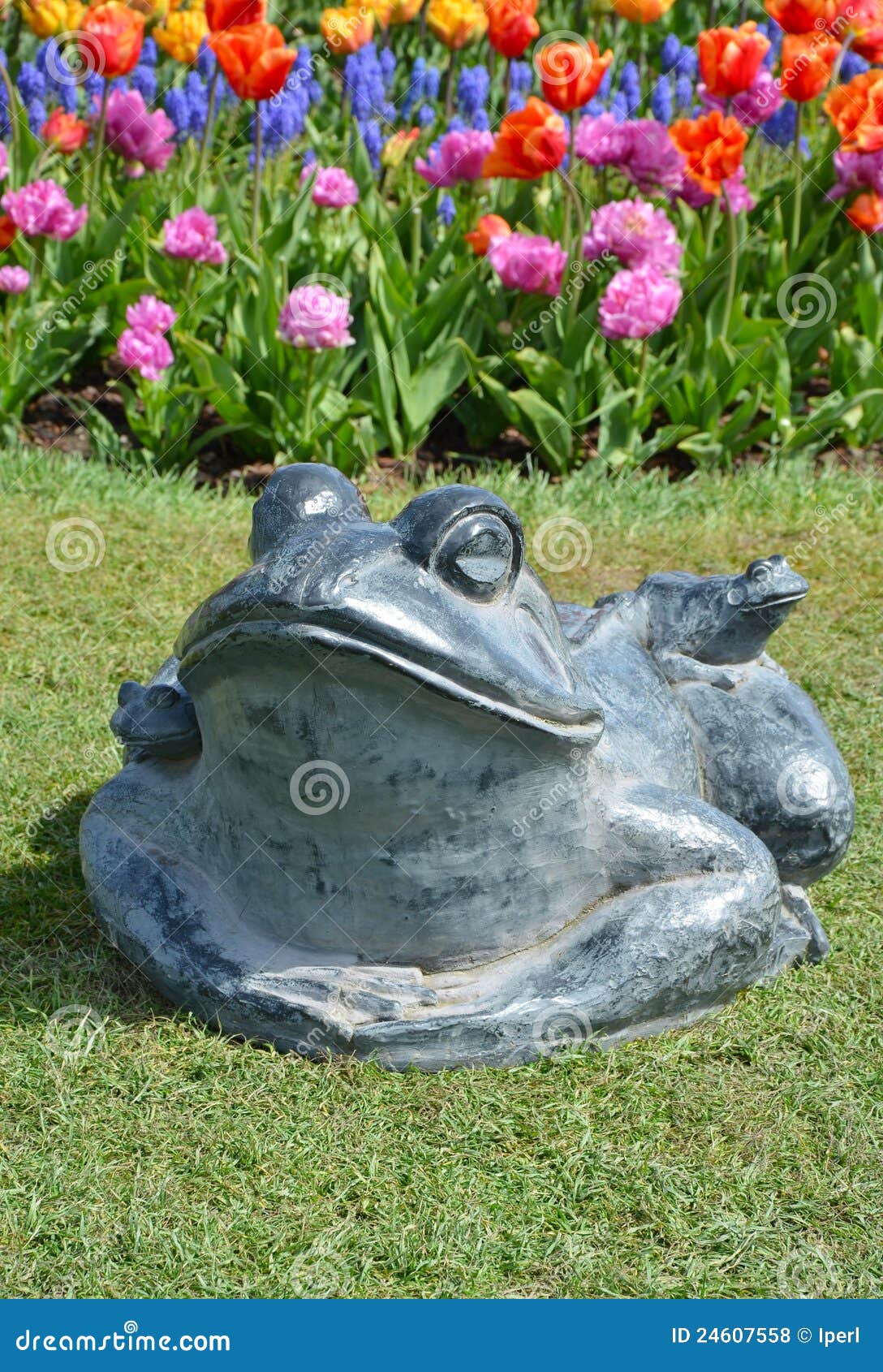 Stone frog stock photo. Image of toad, tulips, statute - 24607558