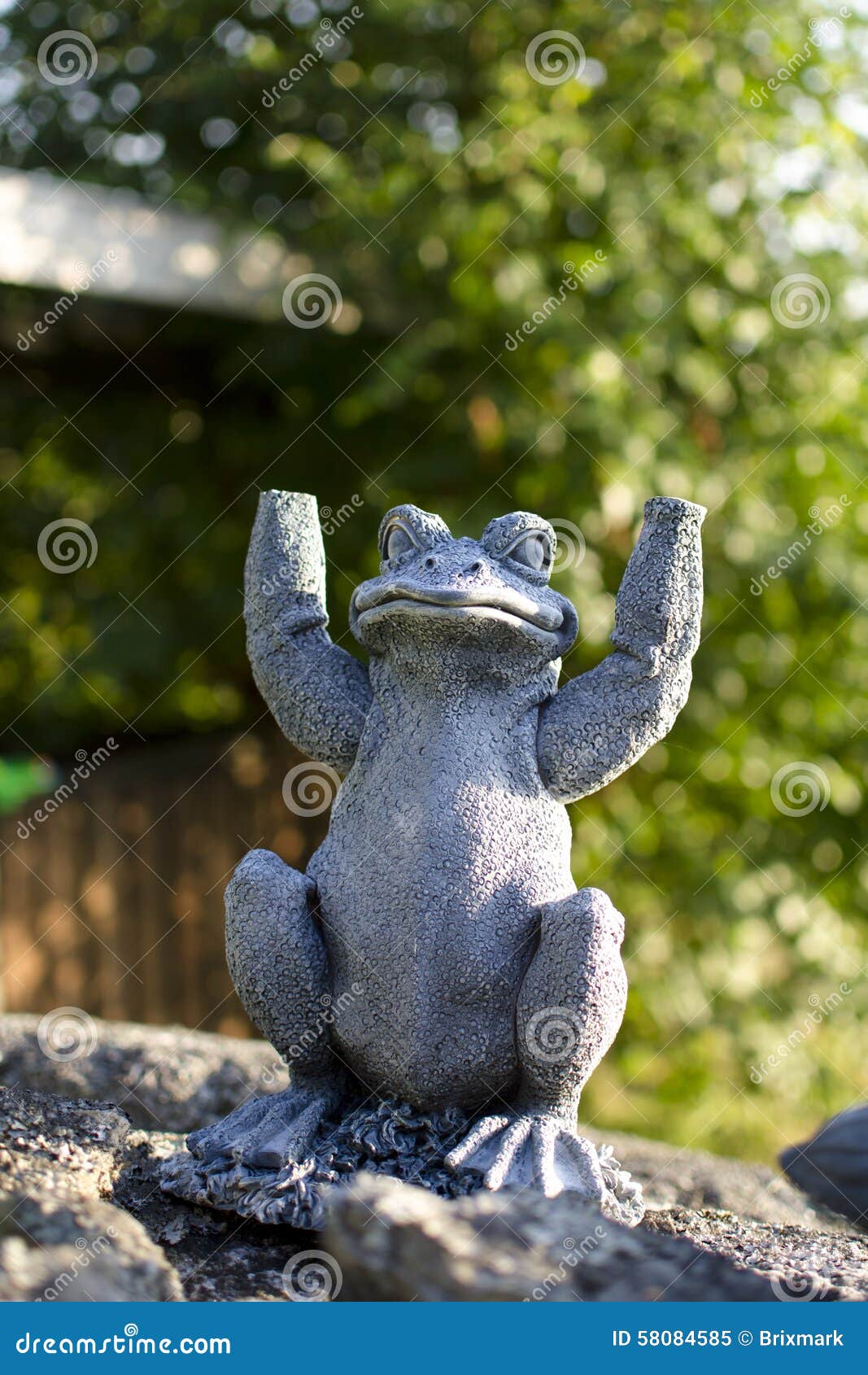 Stone frog stock image. Image of animal, stone, missing - 58084585