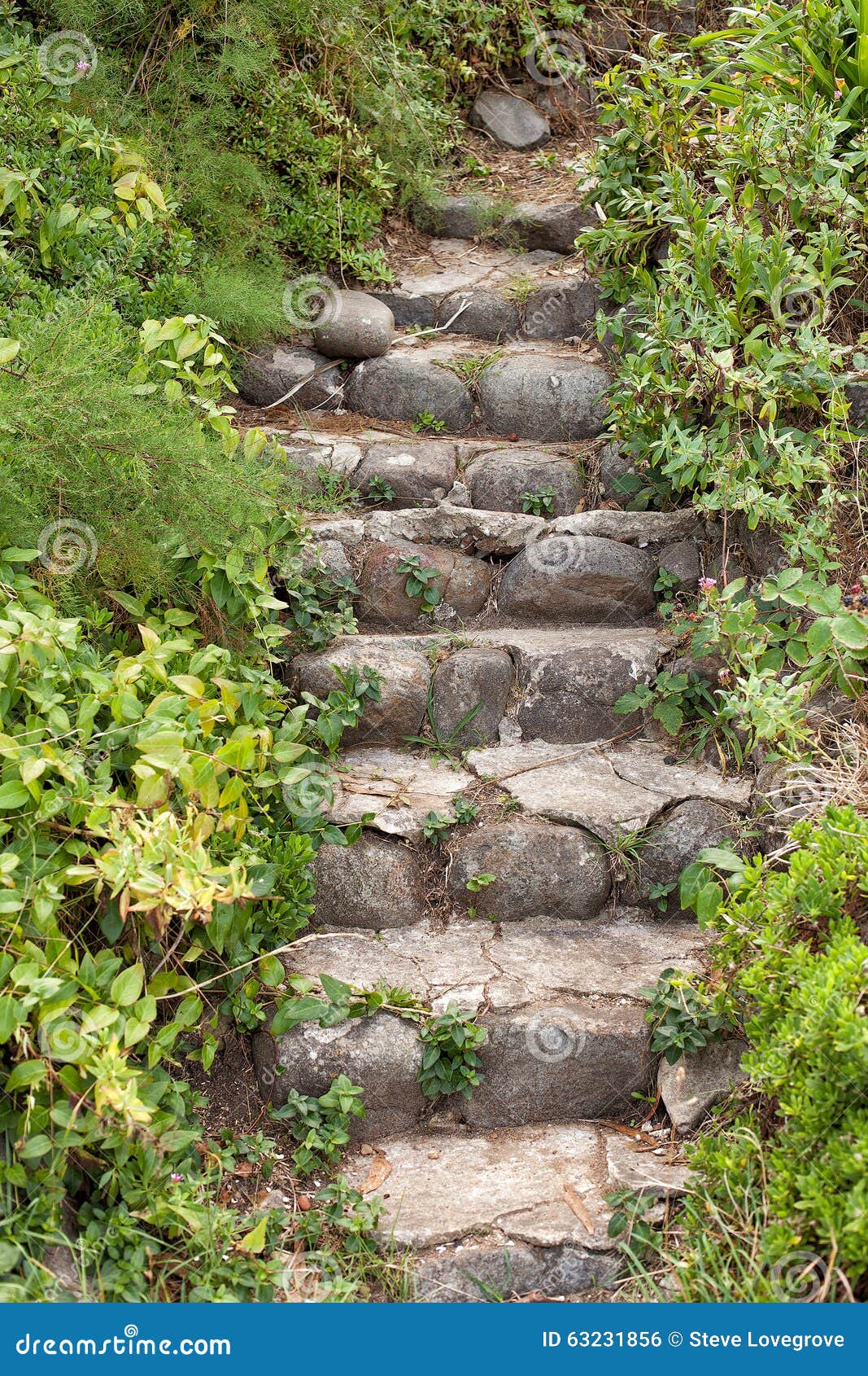 Stone Garden Steps stock photo. Image of botanic, stone - 63231856
