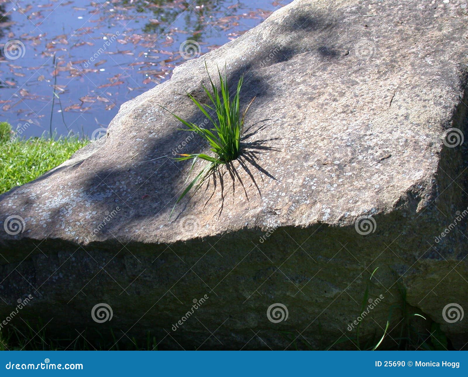 Stone Grass stock photo. Image of minerals, ponds, stones - 25690