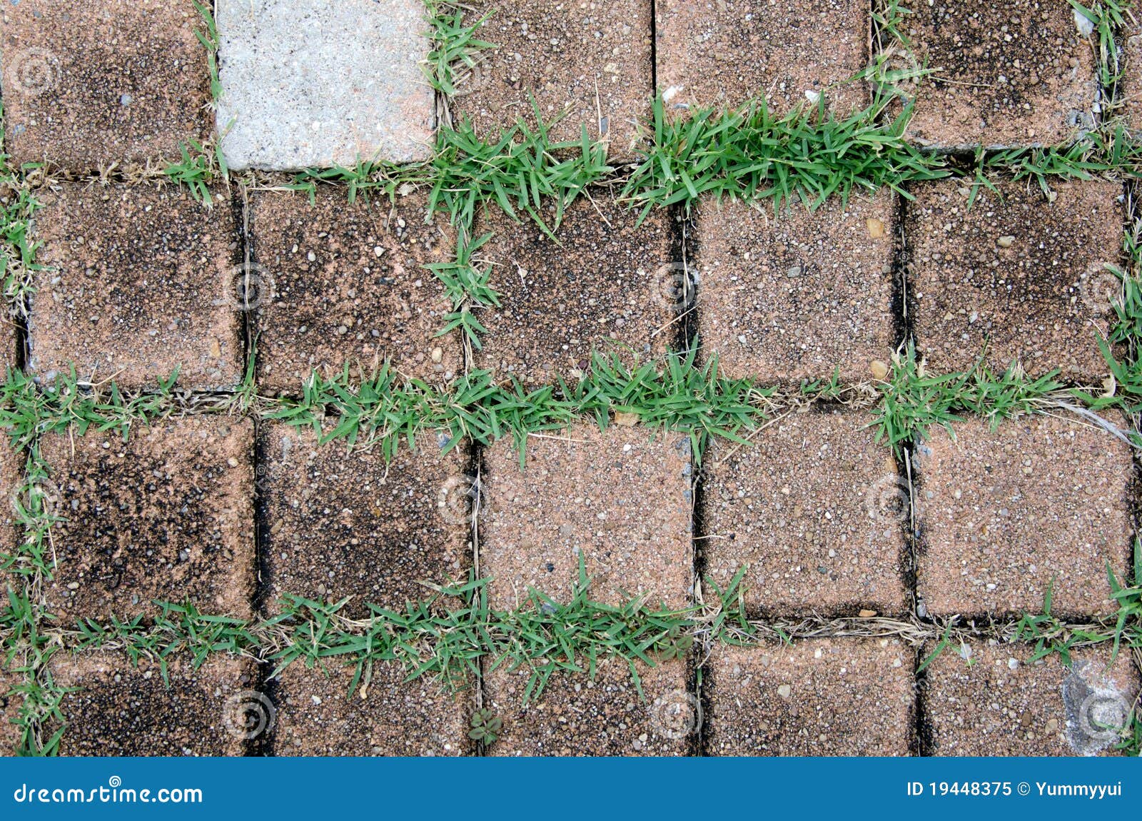 Stone and grass background stock image. Image of grass - 19448375