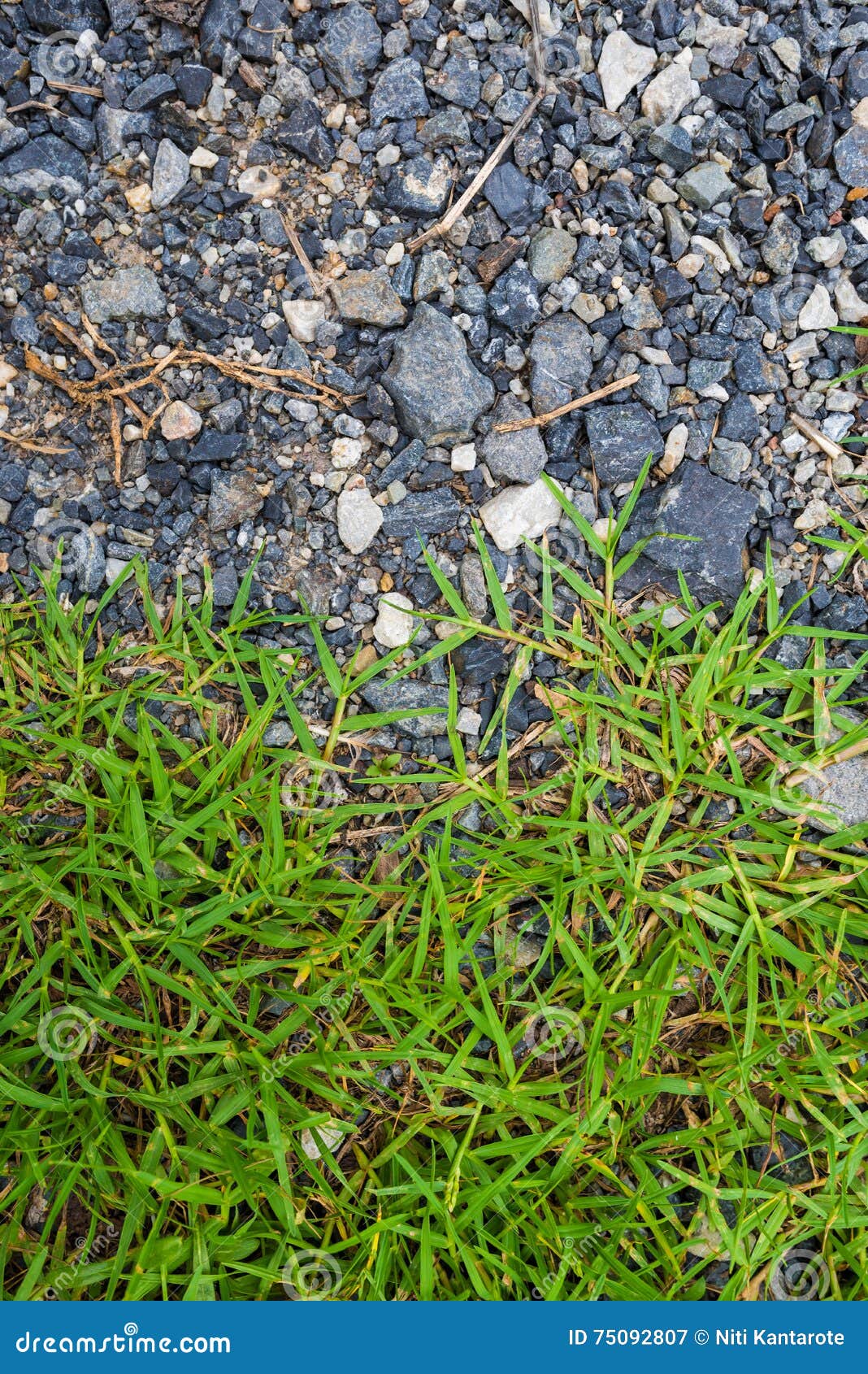 Stone and grass stock image. Image of cobblestone, urban - 75092807