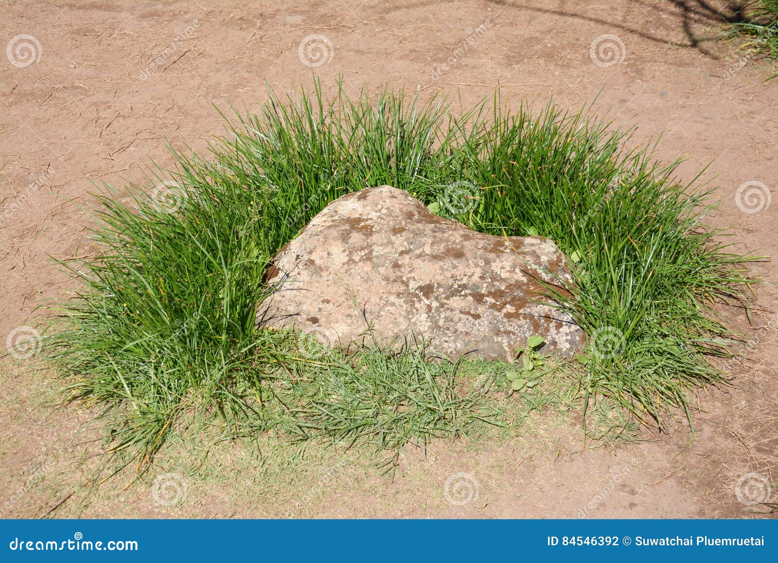 Stone with grass stock photo. Image of synthetic, natural - 84546392