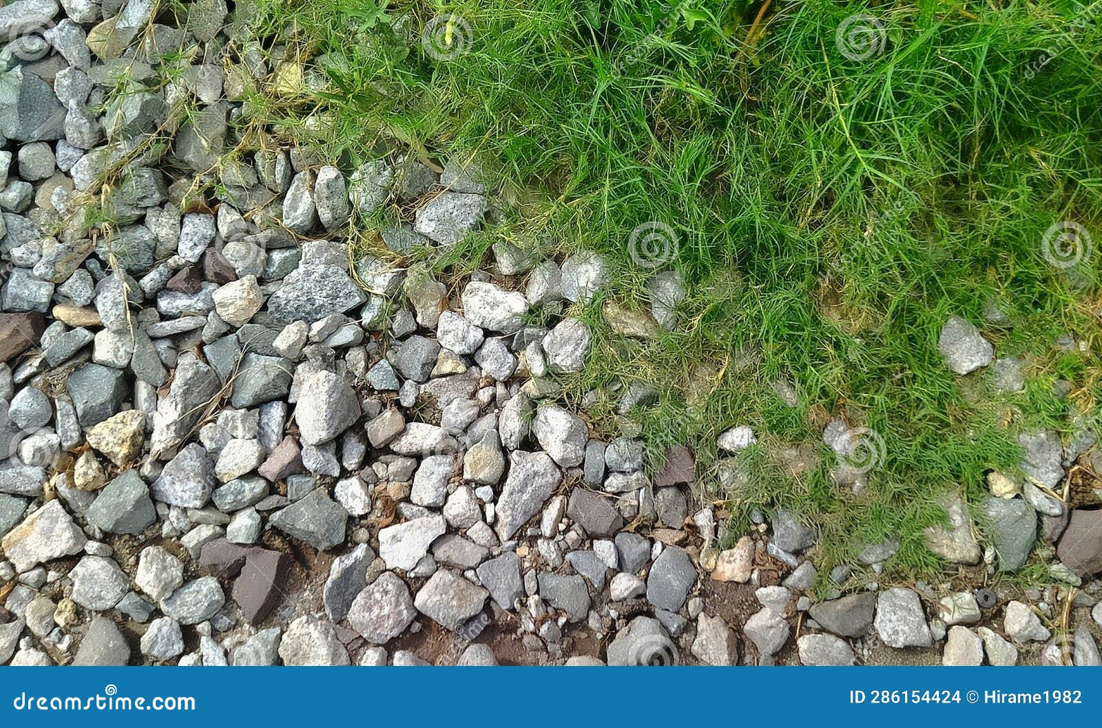 Stone and Grass Texture Background or Wallpaper Stock Photo - Image of ...