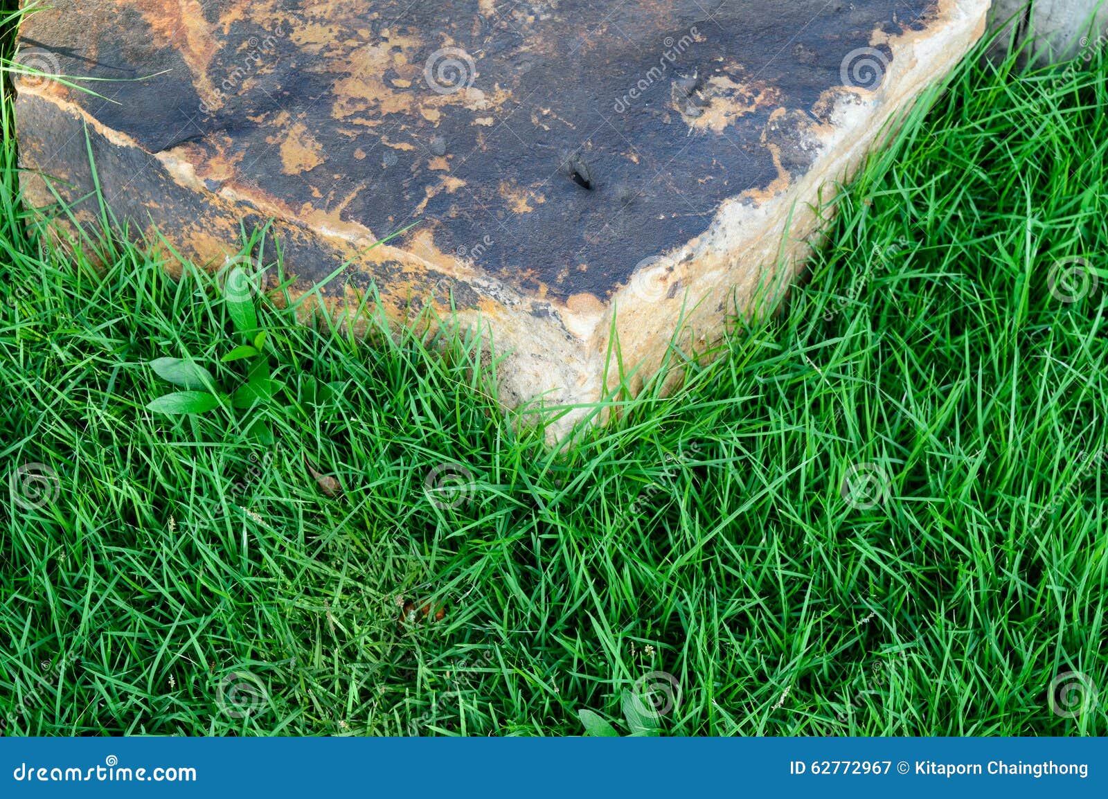 Stone and grass stock image. Image of backyard, pathway - 62772967