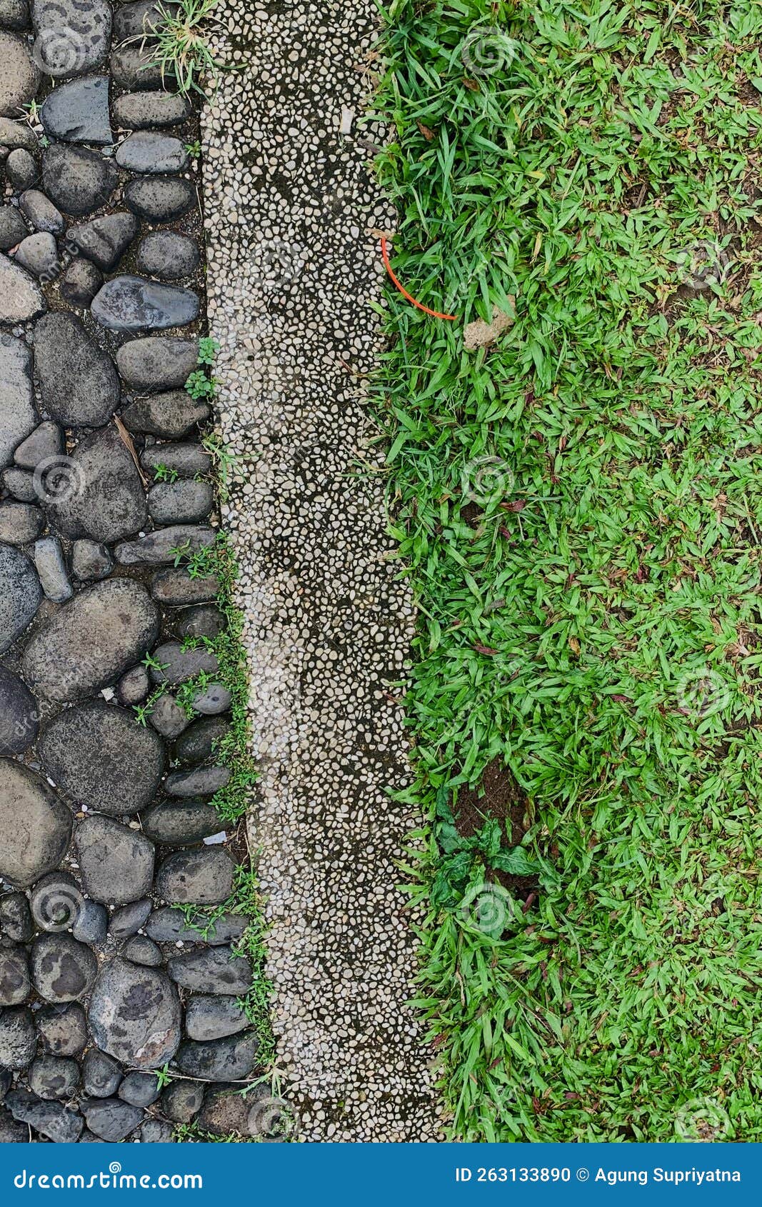 Stone and grass texture stock photo. Image of rock, branch - 263133890