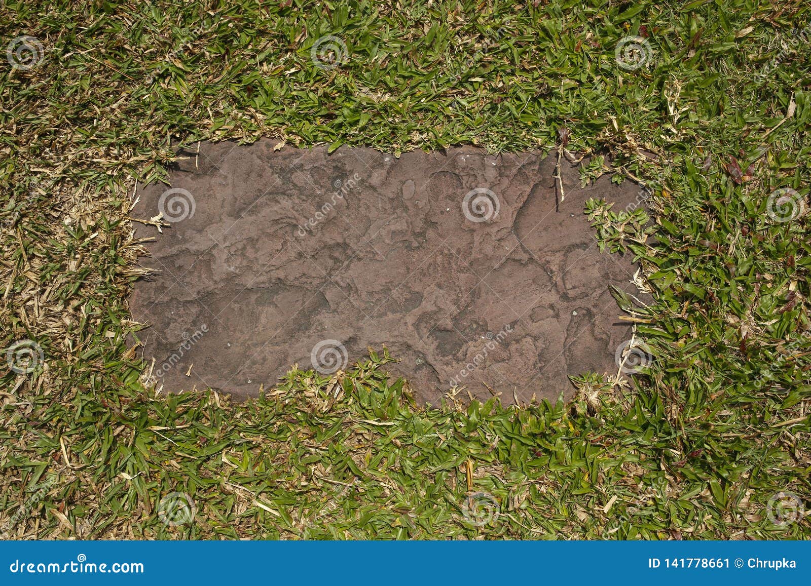 Stone in green grass stock image. Image of stalk, green - 141778661