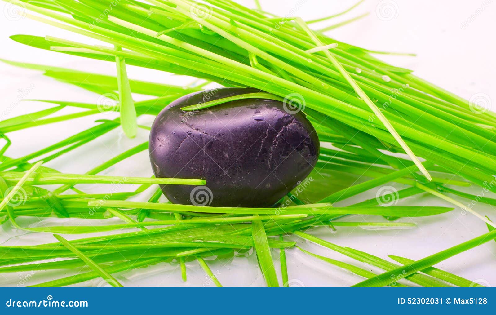 Stone in Green Grass Isolated Stock Image - Image of herbaceous ...