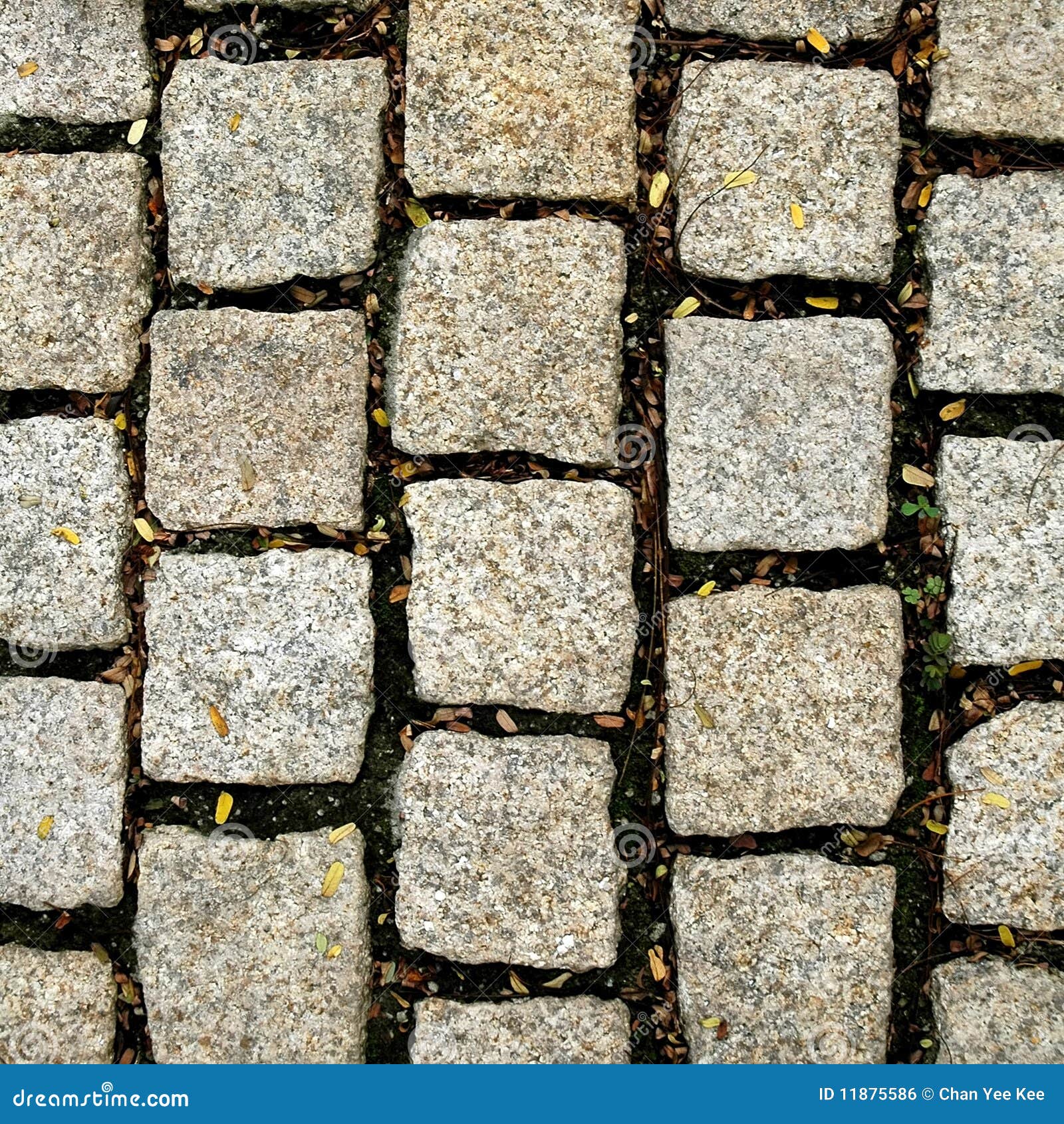 Stone ground stock photo. Image of pavement, abstract - 11875586