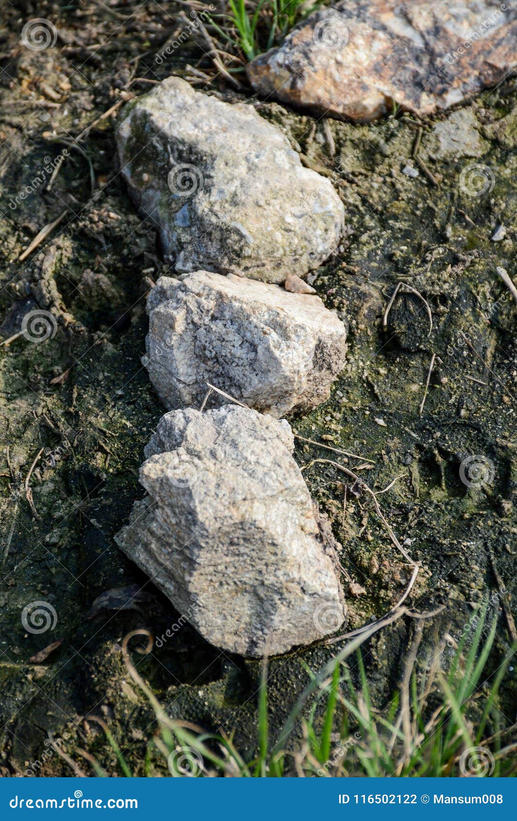 Stone on the ground stock photo. Image of natural, weathered - 116502122
