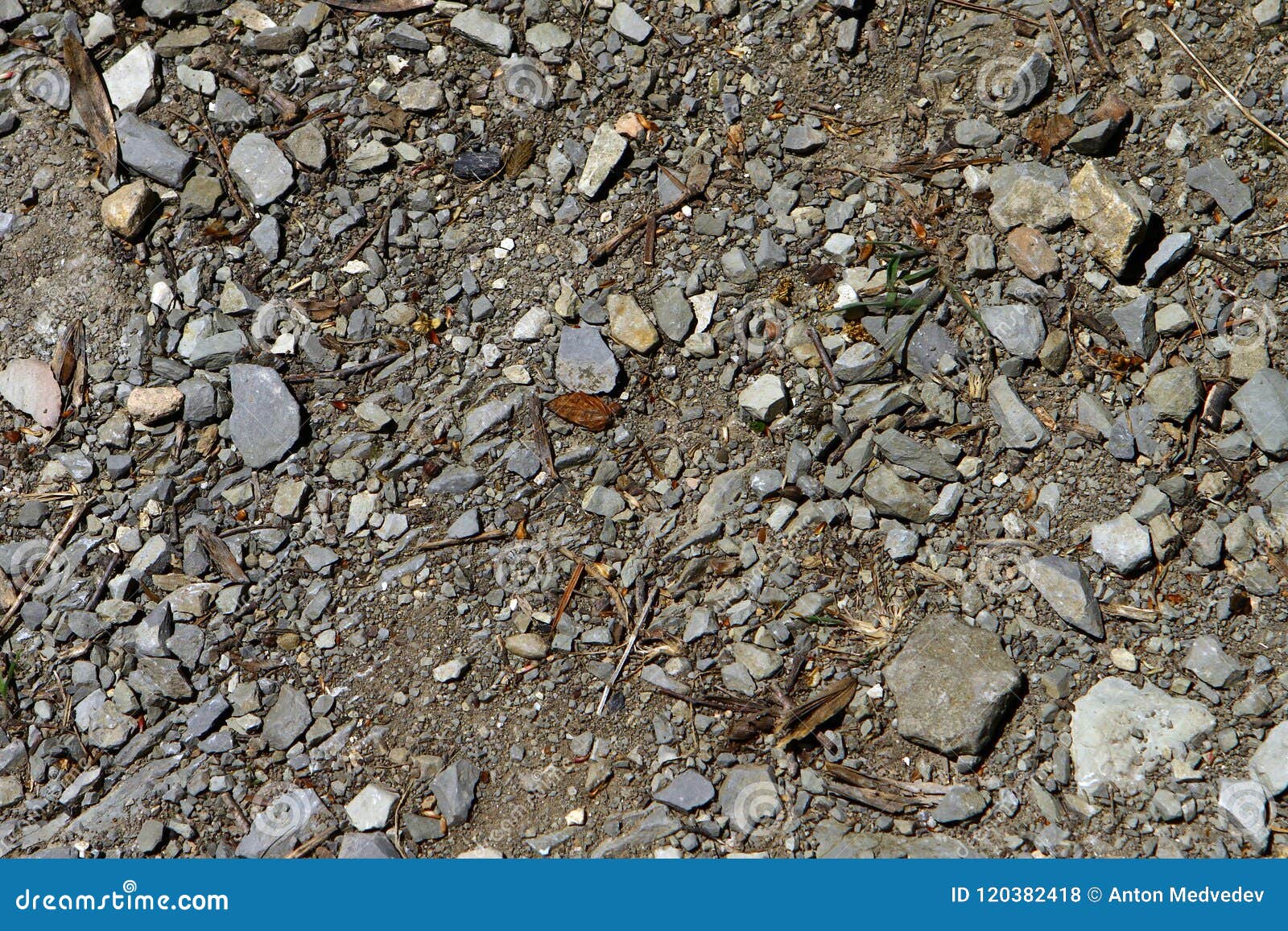Stone on the Ground Texture or Background Stock Photo - Image of space ...