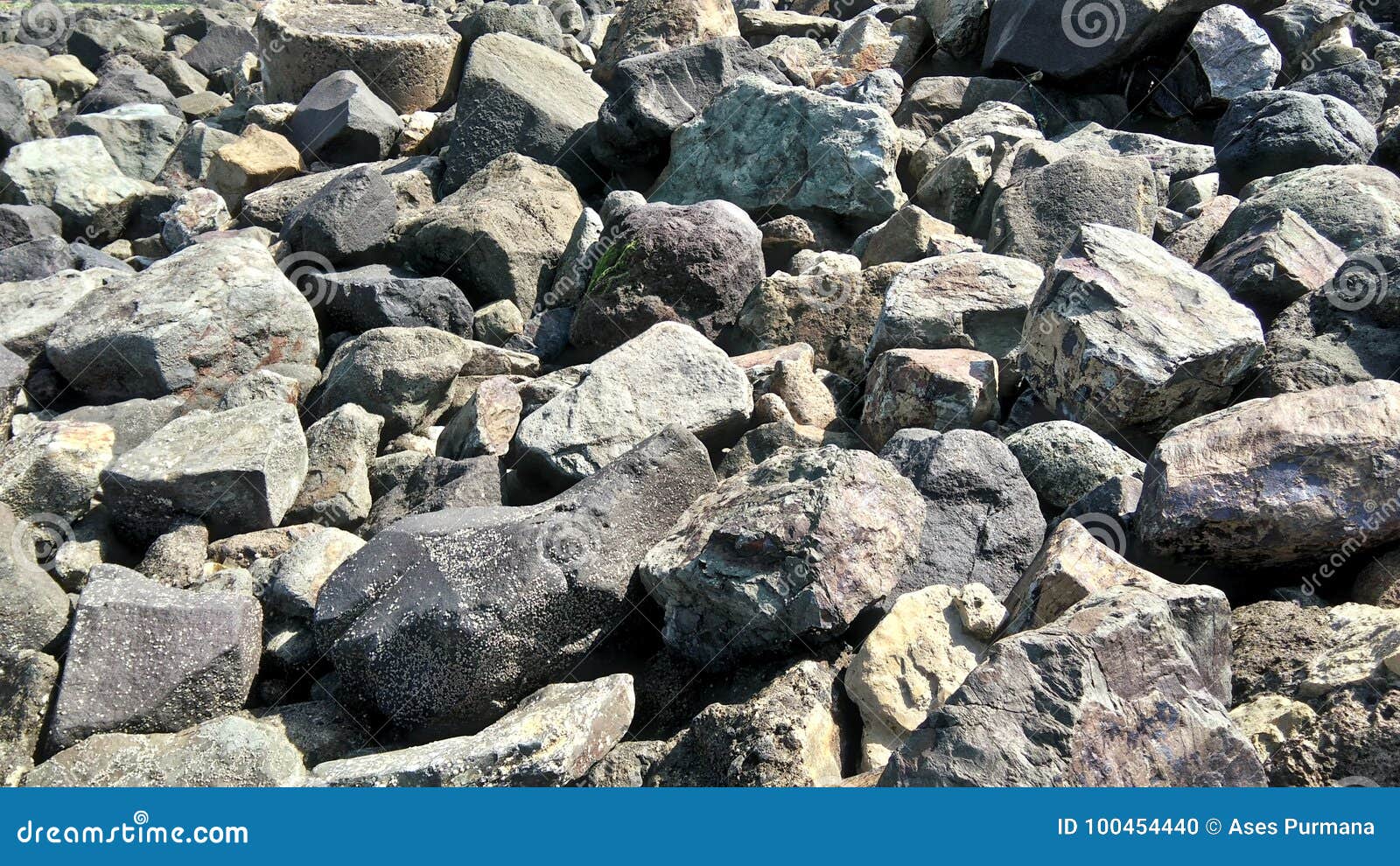 Stone group stock photo. Image of group, stone, beach - 100454440