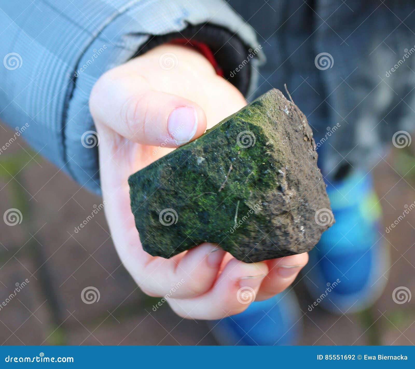Stone stock photo. Image of child, stone, hand, rock - 85551692