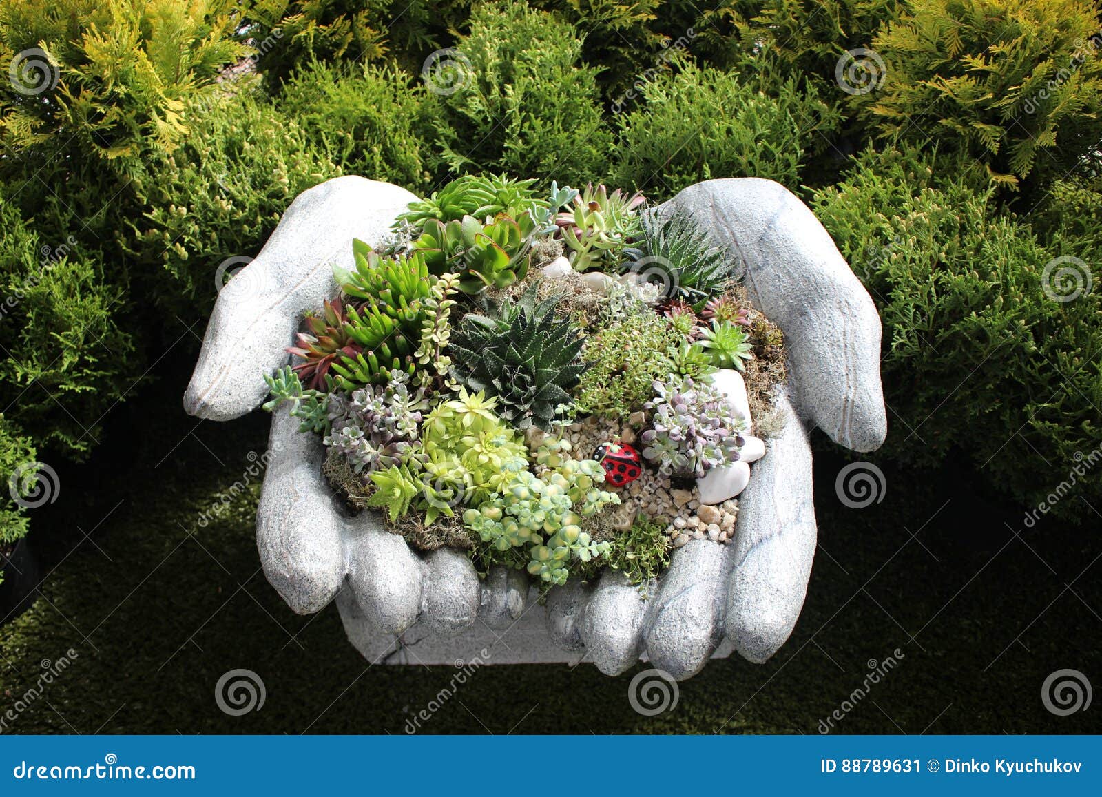The stone hands stock image. Image of bulgaria, hands - 88789631