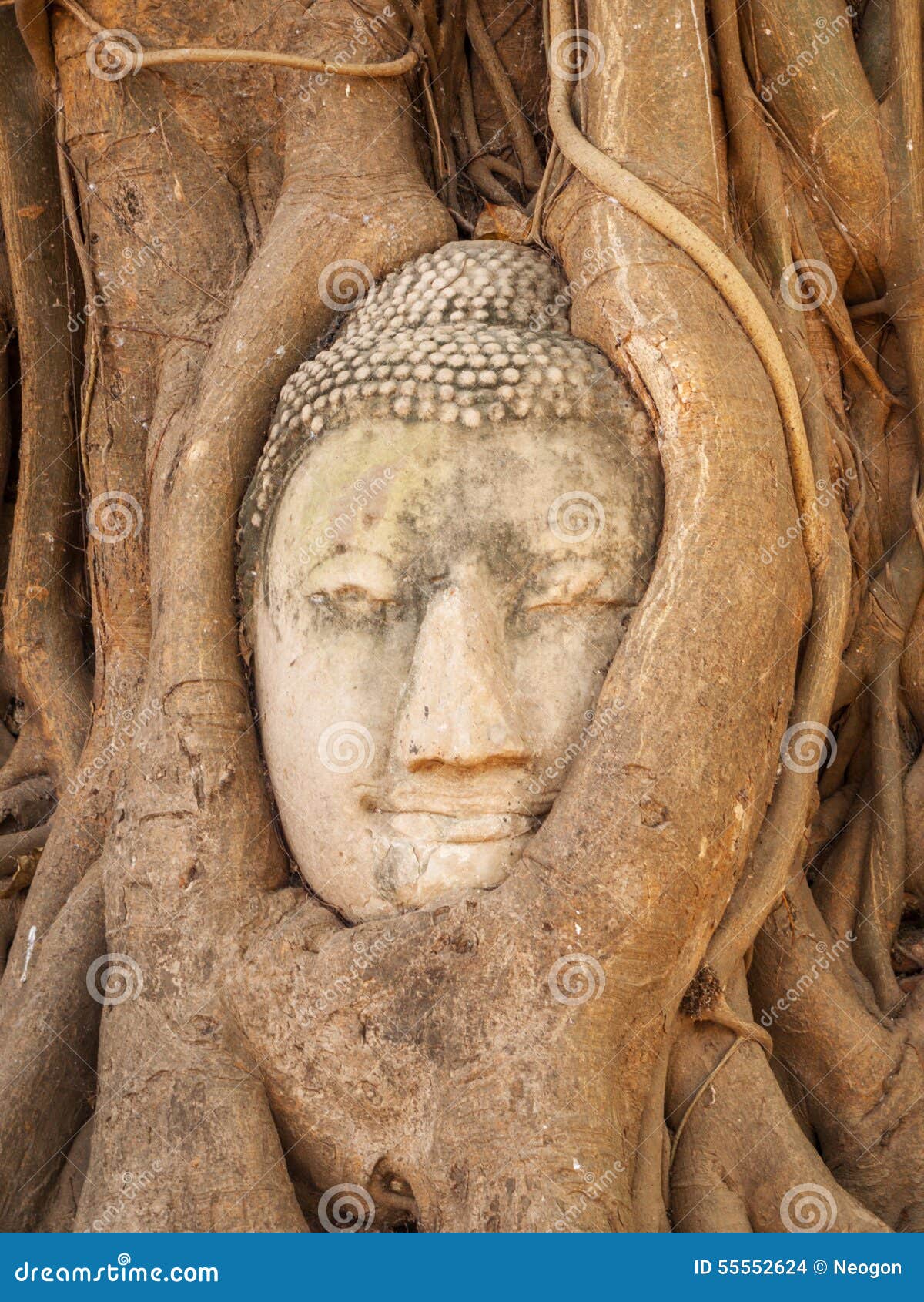 Stone Head in Tree Roots, Ayutthaya, Thailand Stock Photo - Image of ...