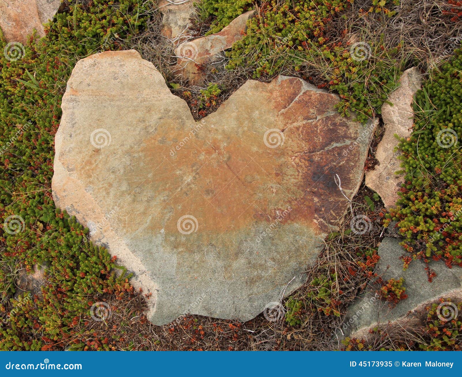 Stone heart stock image. Image of shale, close, nature - 45173935