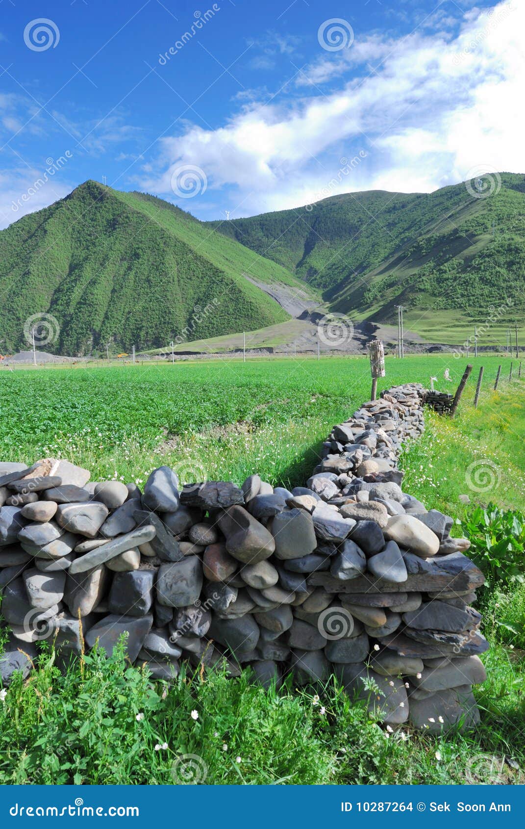 Stone hedge stock photo. Image of nature, stretch, mountain - 10287264