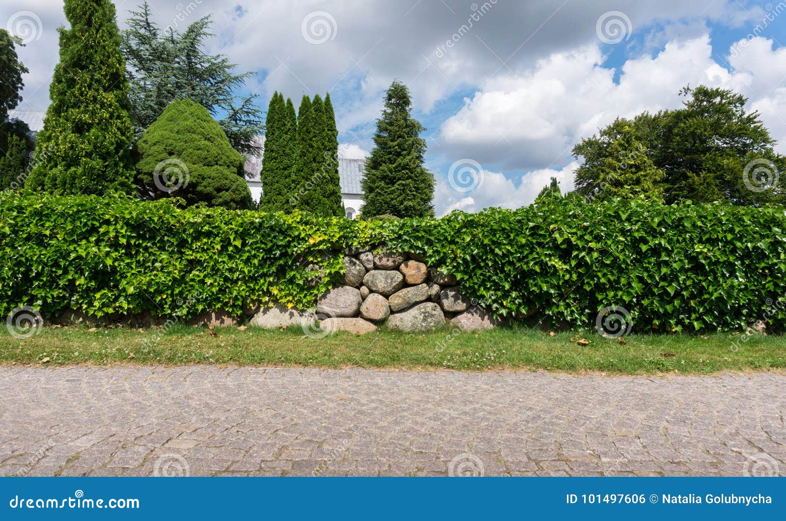 Stone Hedge Covered with Ivy in the Park Stock Photo - Image of cobbles ...