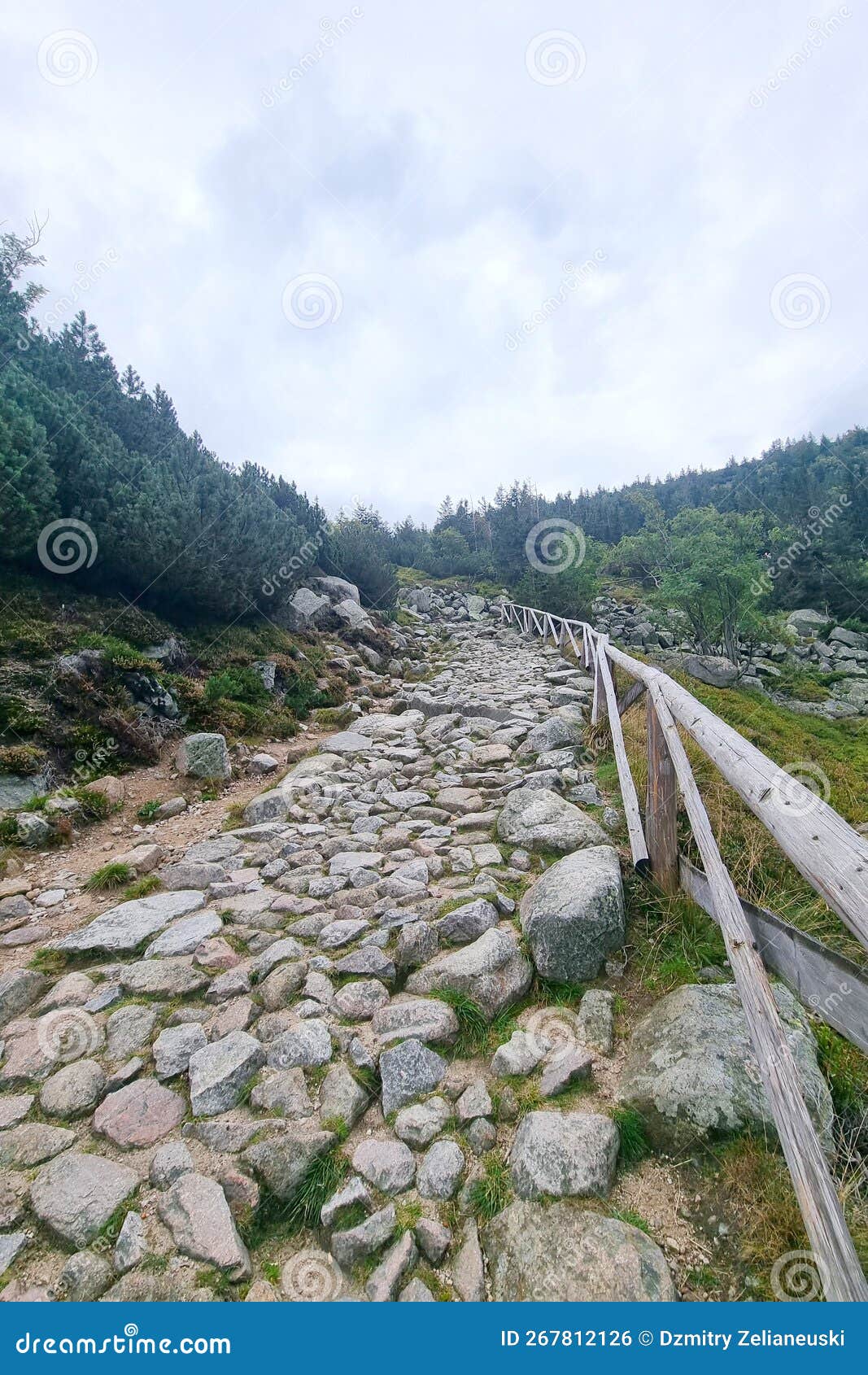 Stone Hiking Trail in the Mountains. Hiking in the Mountains. Stock ...