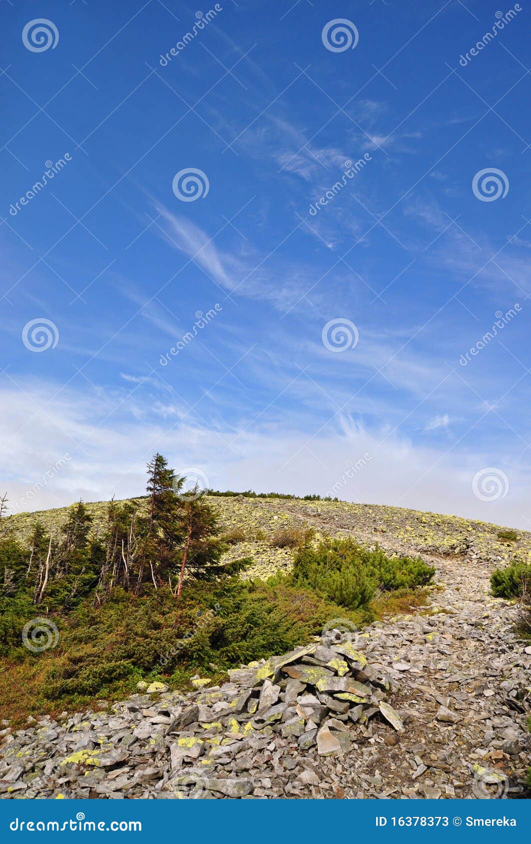 Stone hillside. stock image. Image of carpathians, nature - 16378373