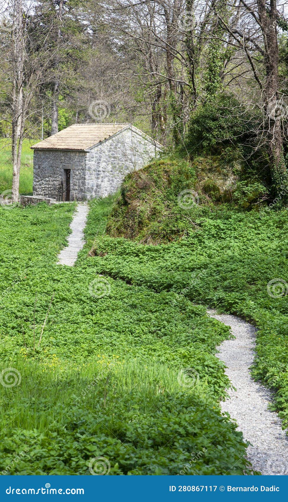 Stone house in the forest stock image. Image of field - 280867117