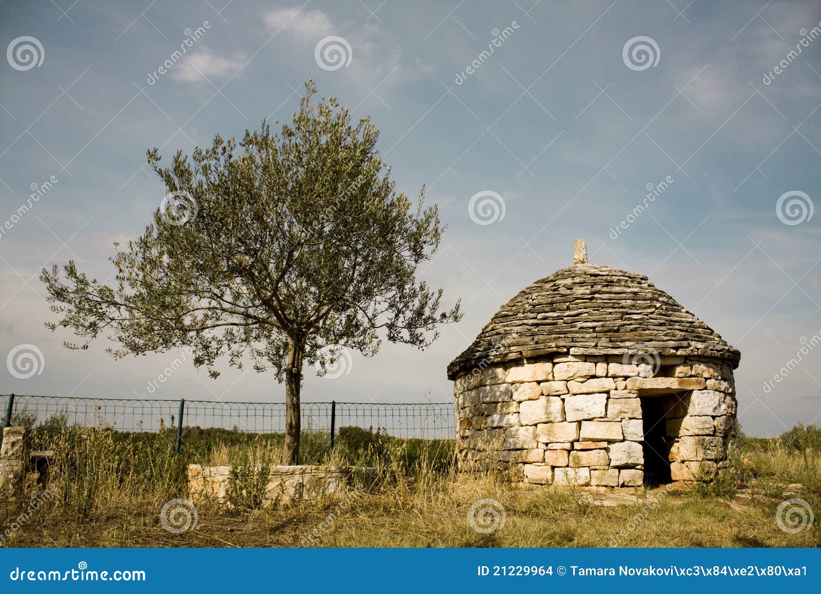 Stone house and olive tree stock photo. Image of environment - 21229964