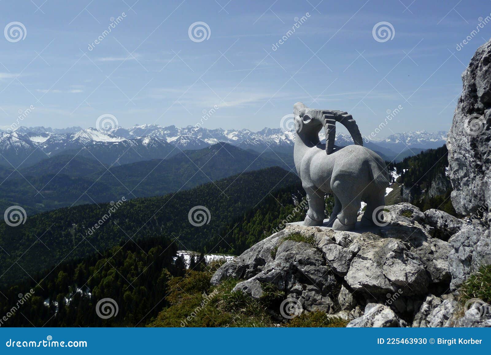 Stone Ibex at Brauneck Mountain, Bavaria, Germany Editorial Image ...