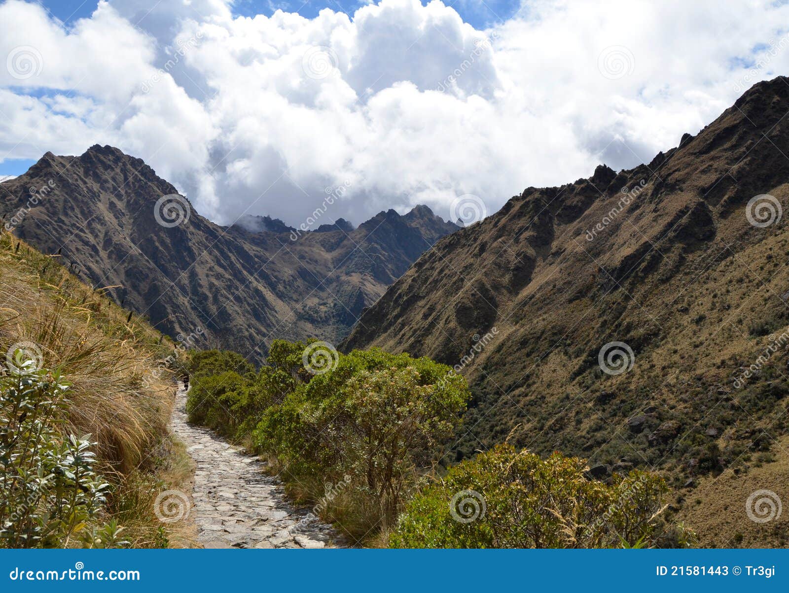 Stone Inca Trail Path in the Andes Stock Image - Image of cusco ...