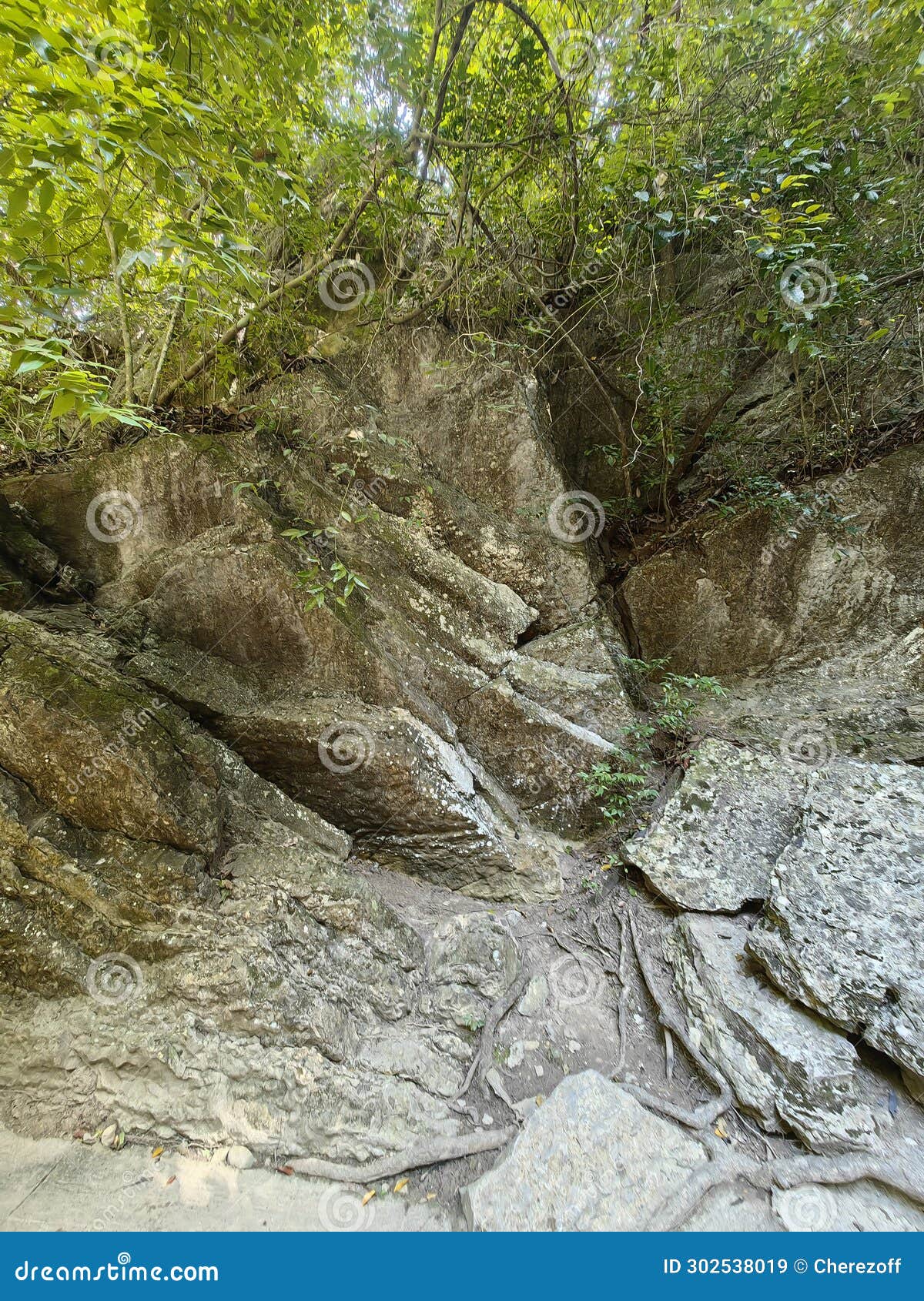 Stone in the Jungle stock image. Image of green, podium - 302538019
