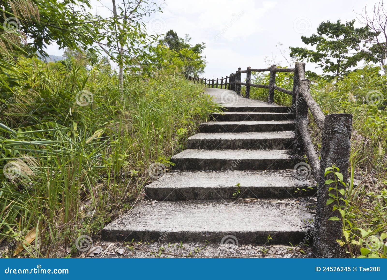 Stone Ladder stock image. Image of pattern, cross, construction - 24526245