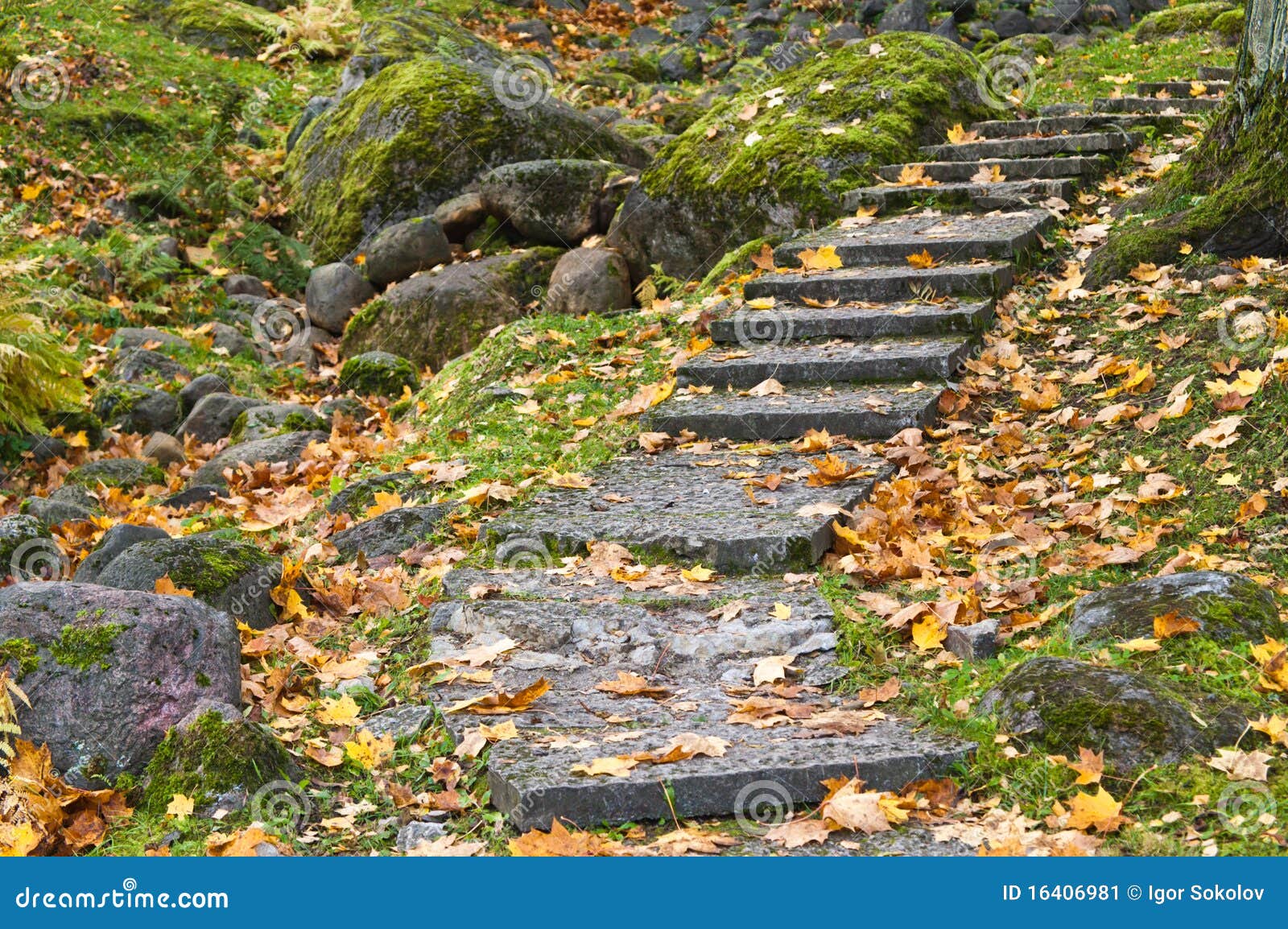 Stone Ladder in Autumn Park Stock Image - Image of golden, gold: 16406981