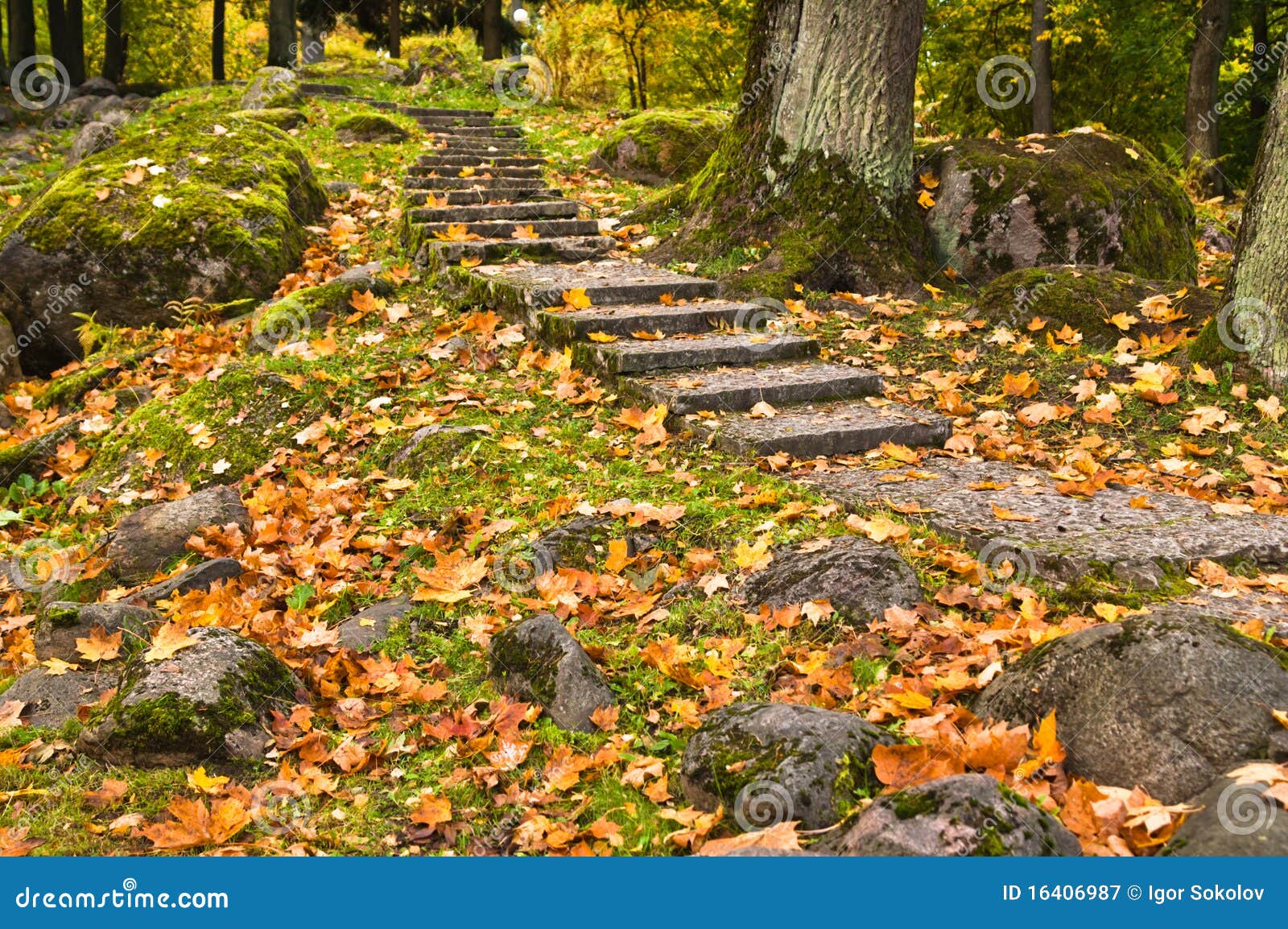 Stone Ladder in Autumn Park Stock Image - Image of garden, park: 16406987