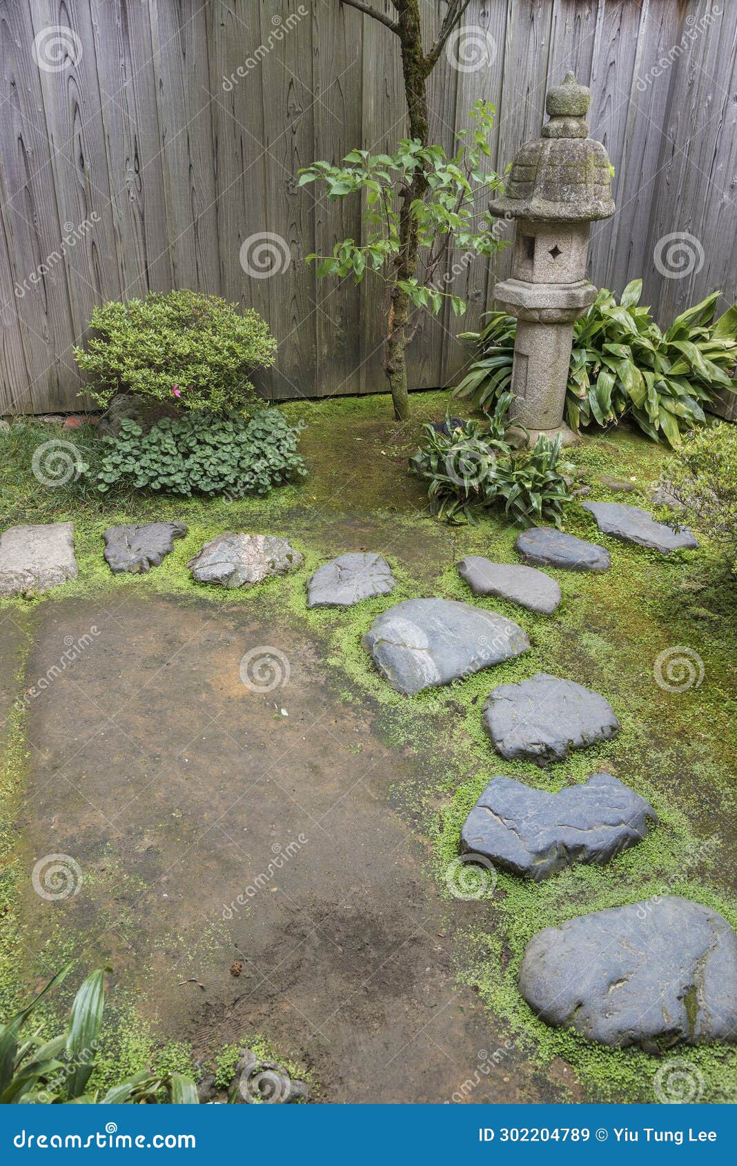 Japanese Backyard Garden Stock Photo | CartoonDealer.com #110422374