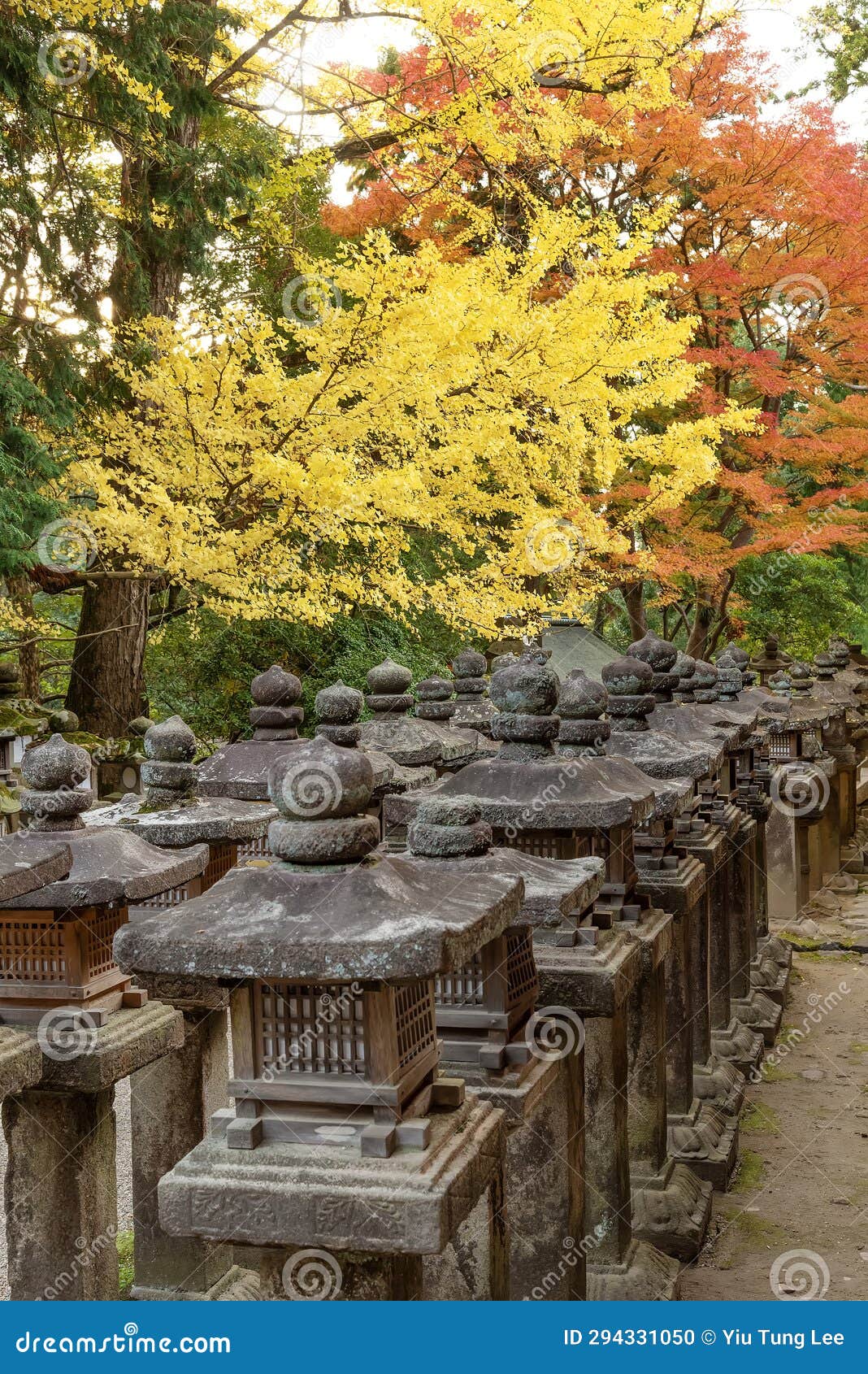 Stone Lantern in Japanese Shrine in Nara, Japan Stock Photo - Image of ...