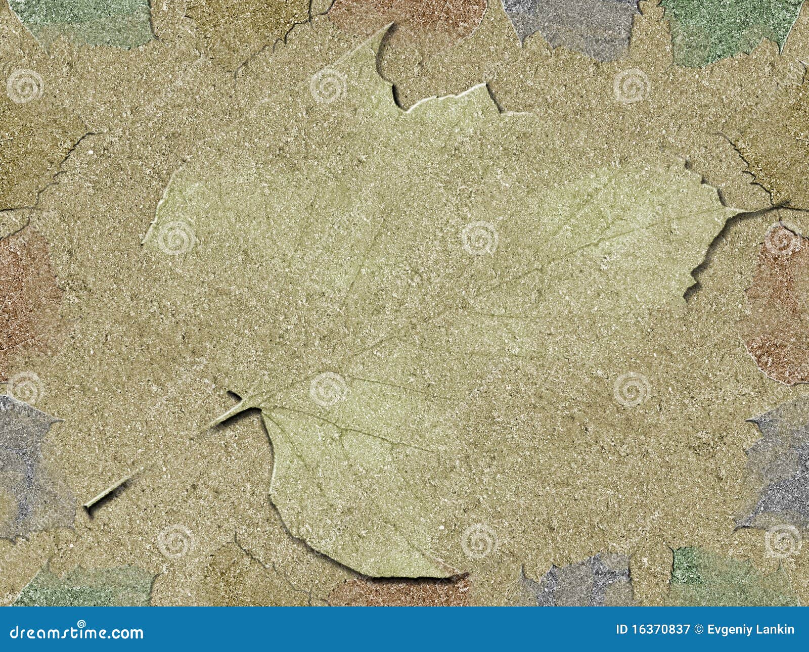 Stone leaf stock image. Image of coast, color, texture - 16370837