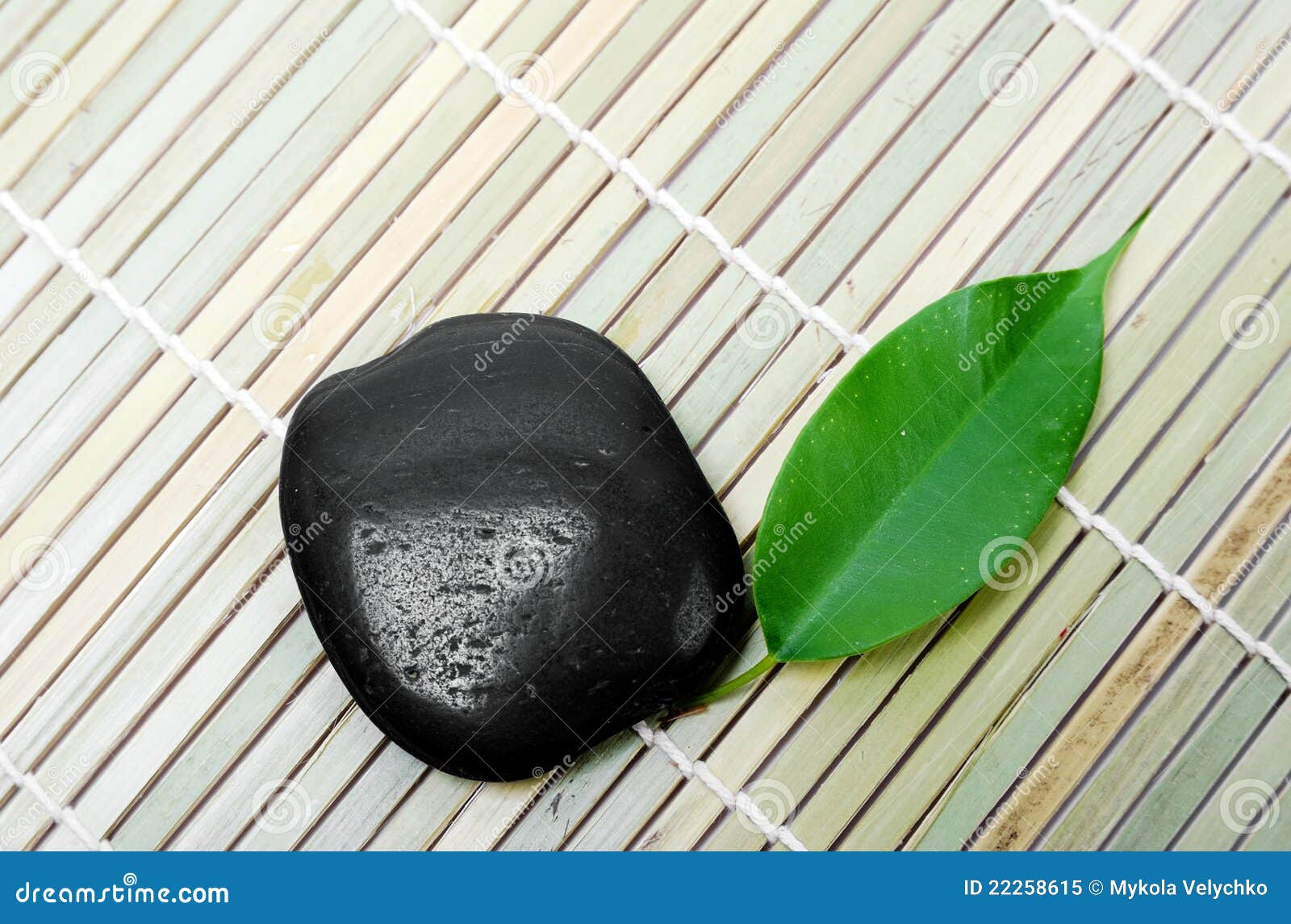 Stone and leaf stock image. Image of plant, rock, studio - 22258615