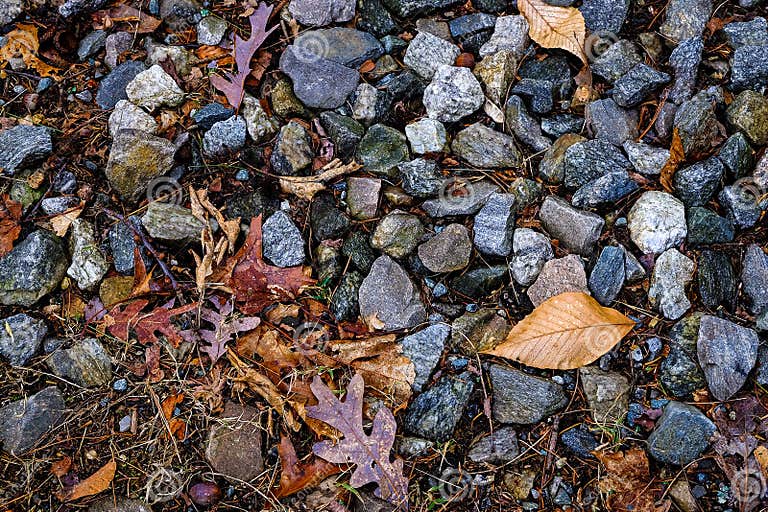 Stone and leaf background stock photo. Image of natural - 66173042