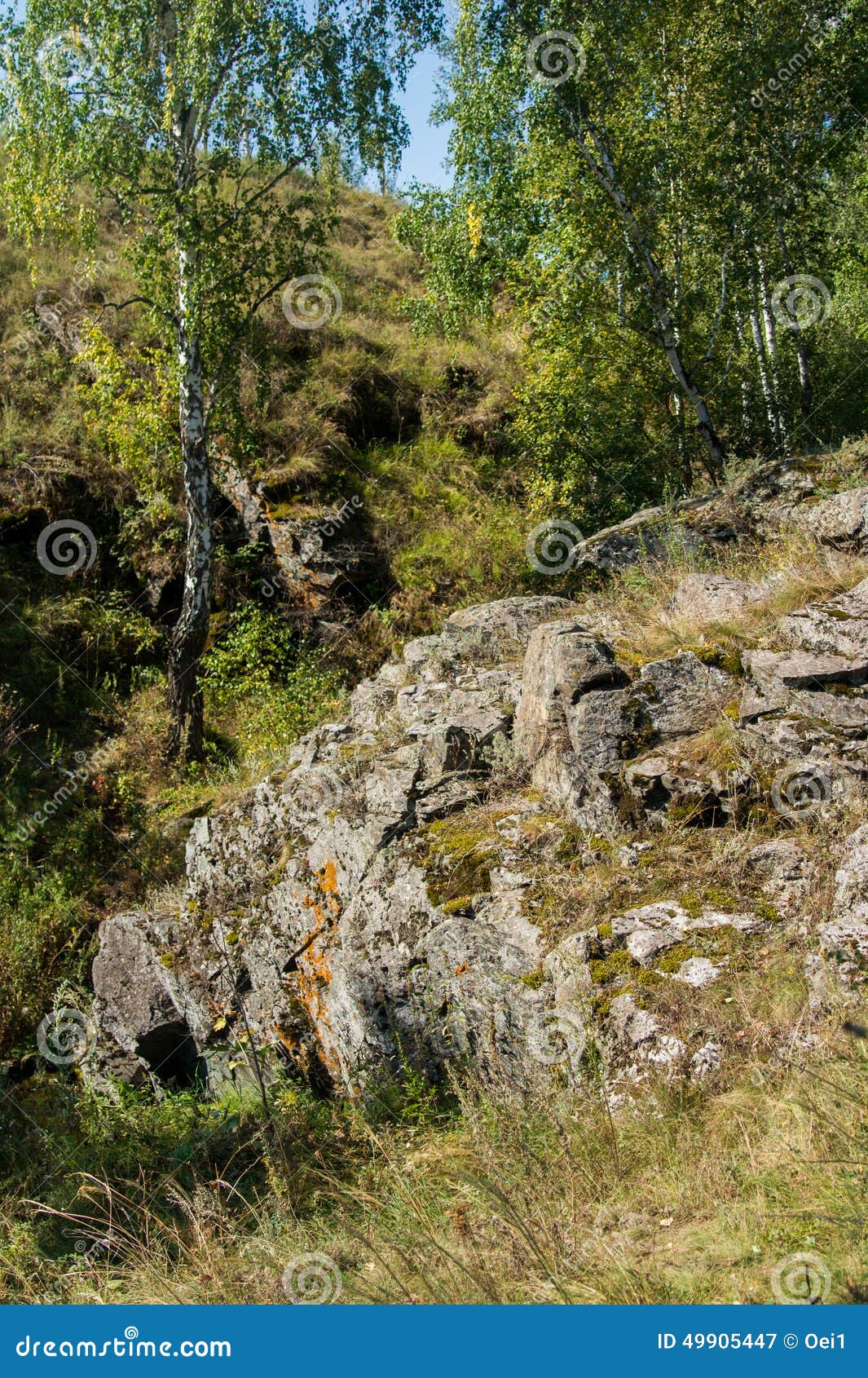 Stone Ledge on the Wooded Hills Stock Image - Image of forest, green ...