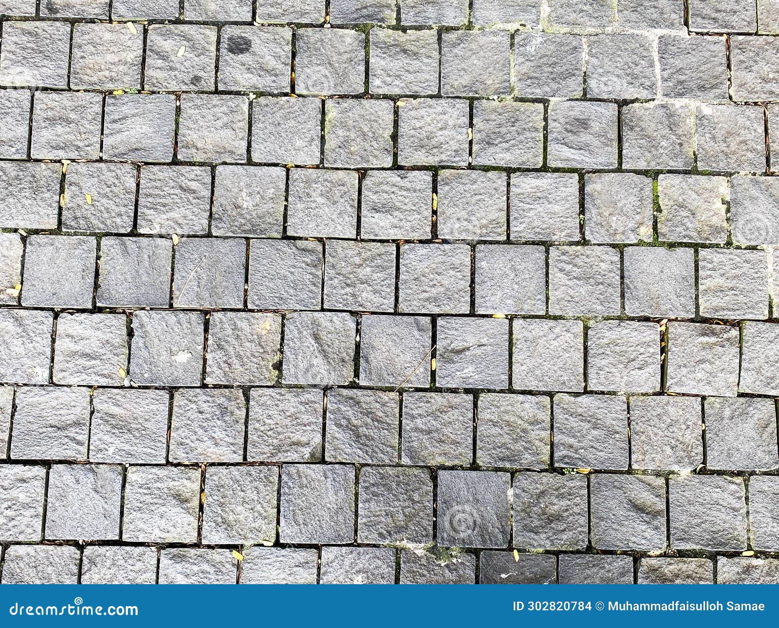 The Stone-like Texture of the Concrete Background Lends a Sense of ...