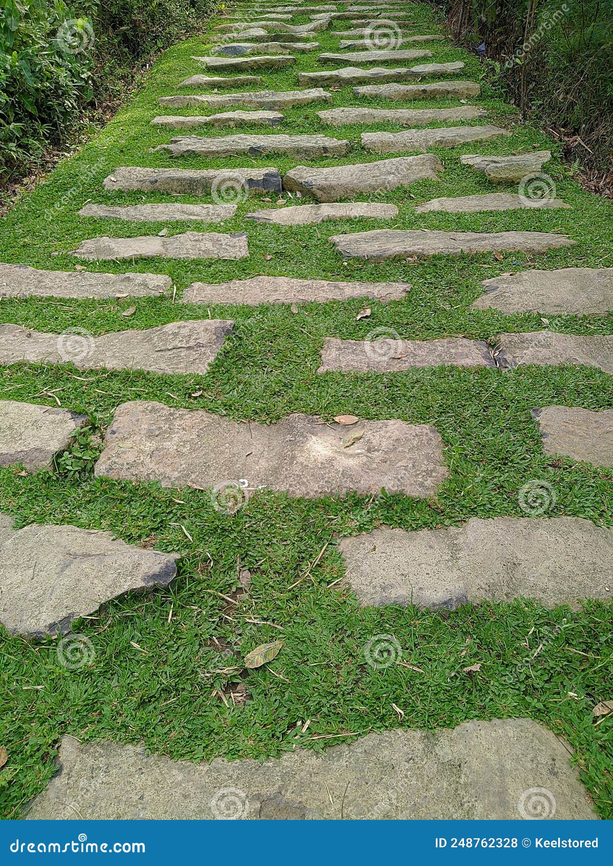 The Stone is Made of Green Grass Stock Photo - Image of green, shrub ...