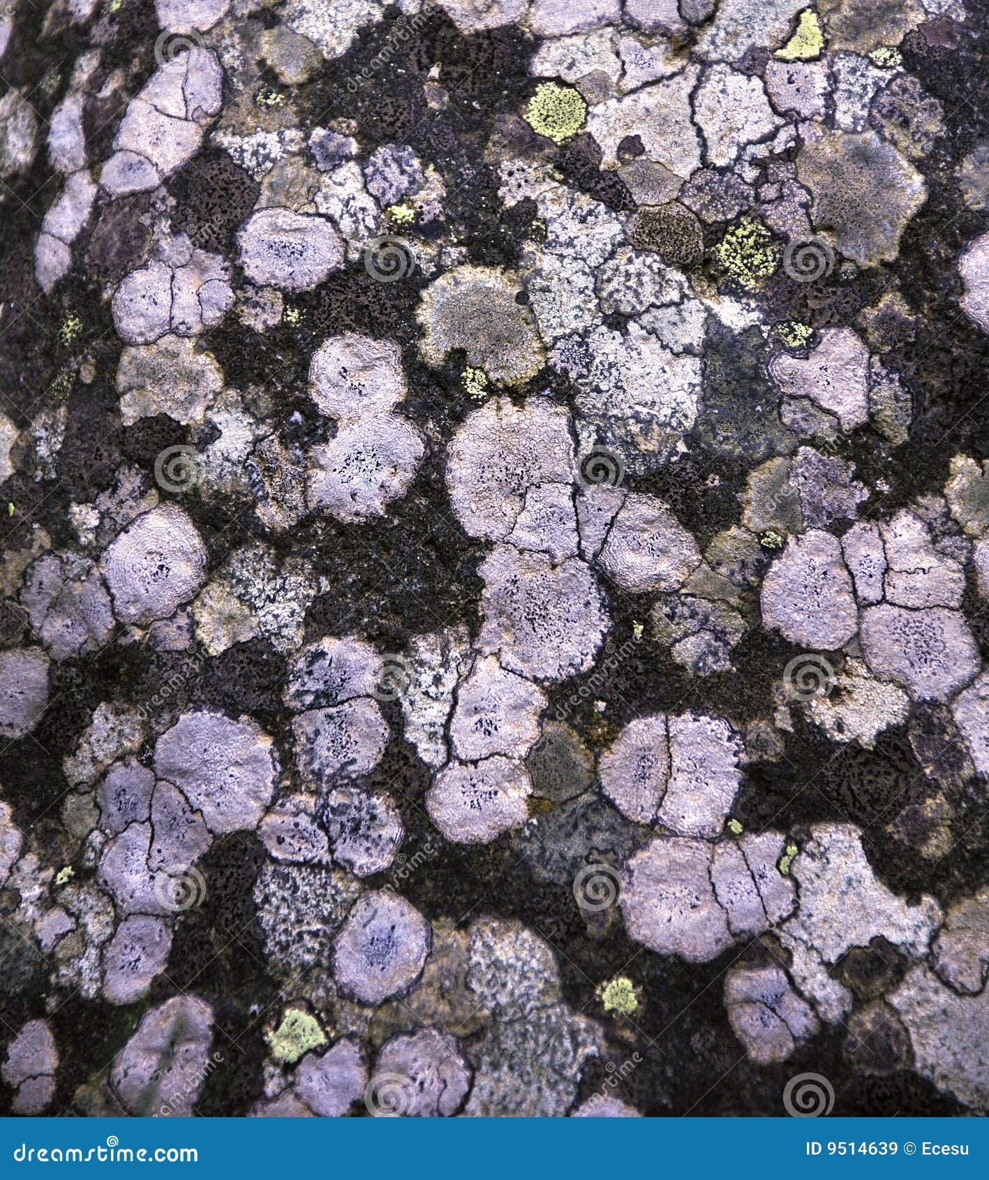 Stone map stock image. Image of pattern, travel, rock - 9514639