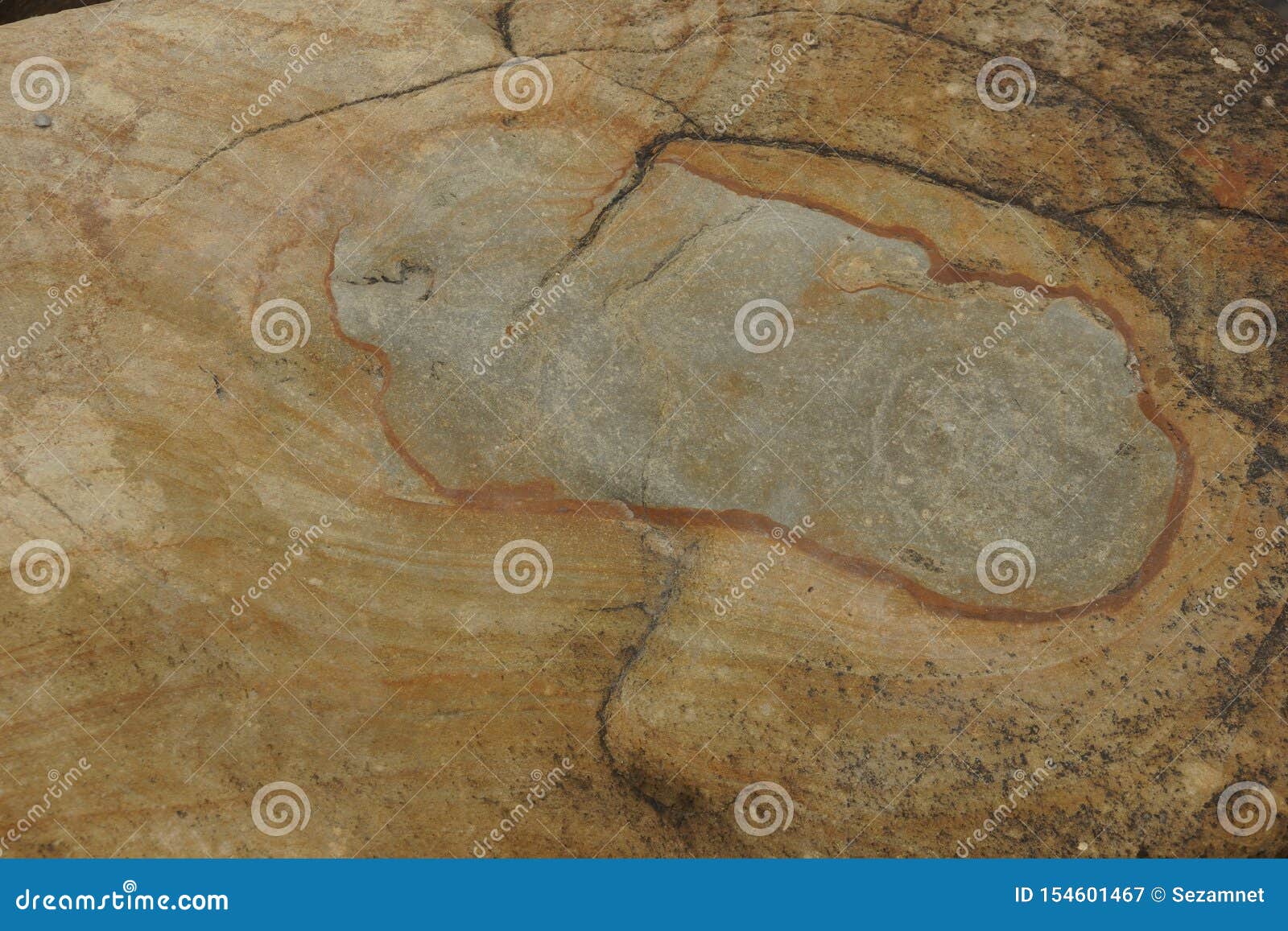 Stone Marine Coastal Texture Background Brown Ochre Reddish Spots Stock ...